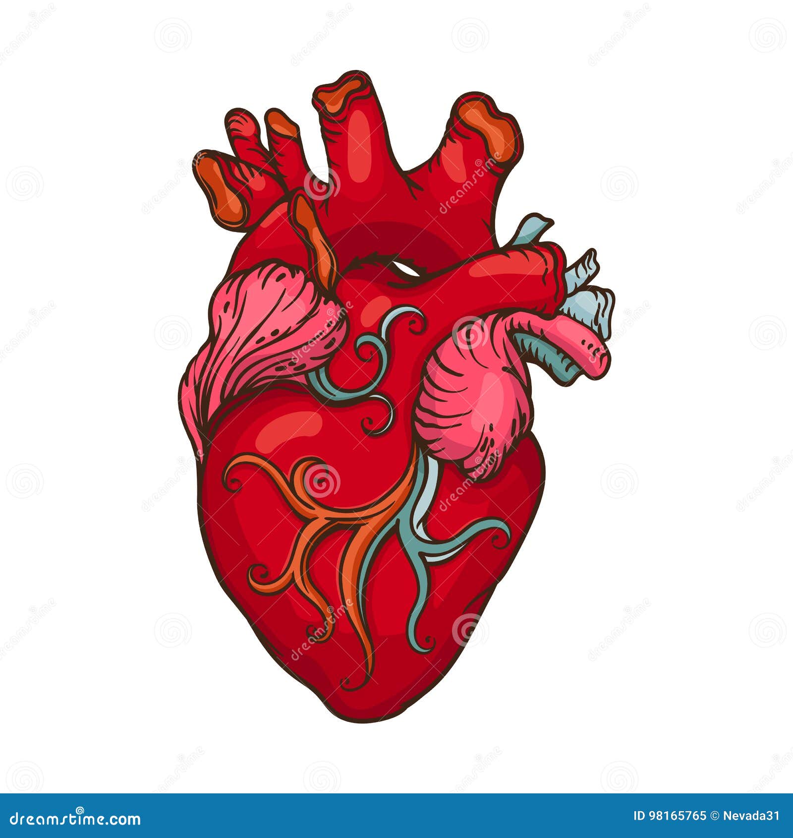 Tekening Van Gestileerd Menselijk Hart Vector Illustratie ...