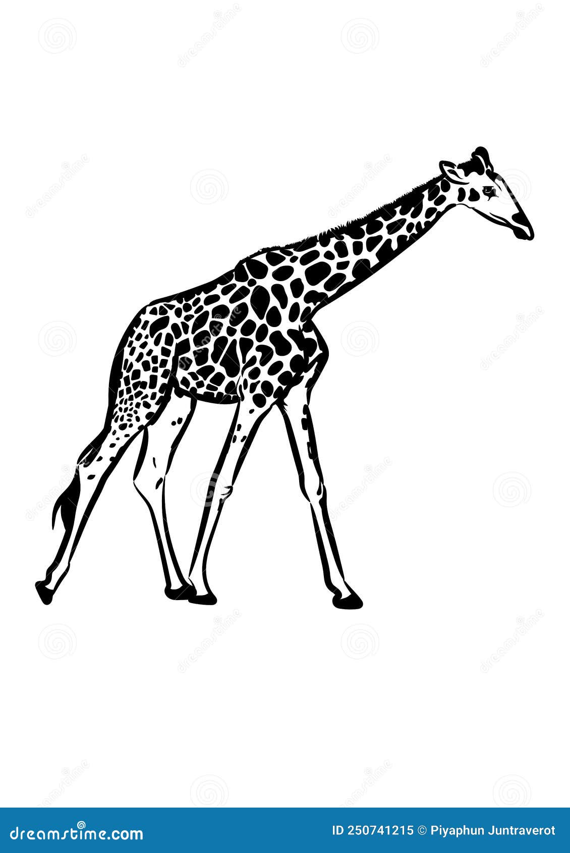 Tekening Van Giraf Transparante Vectorillustratie Vector Illustratie ...