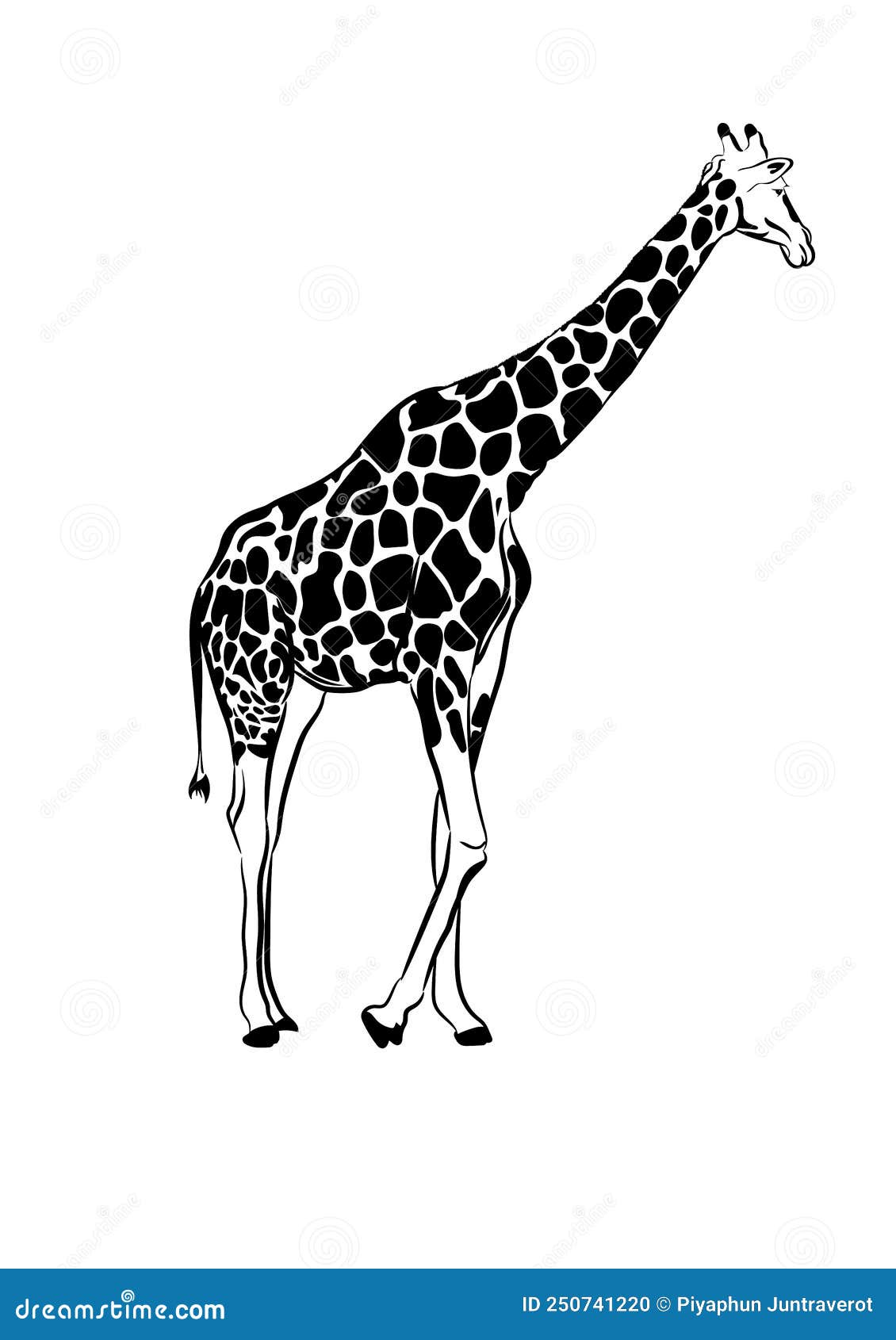 Tekening Van Giraf Transparante Vectorillustratie Vector Illustratie ...