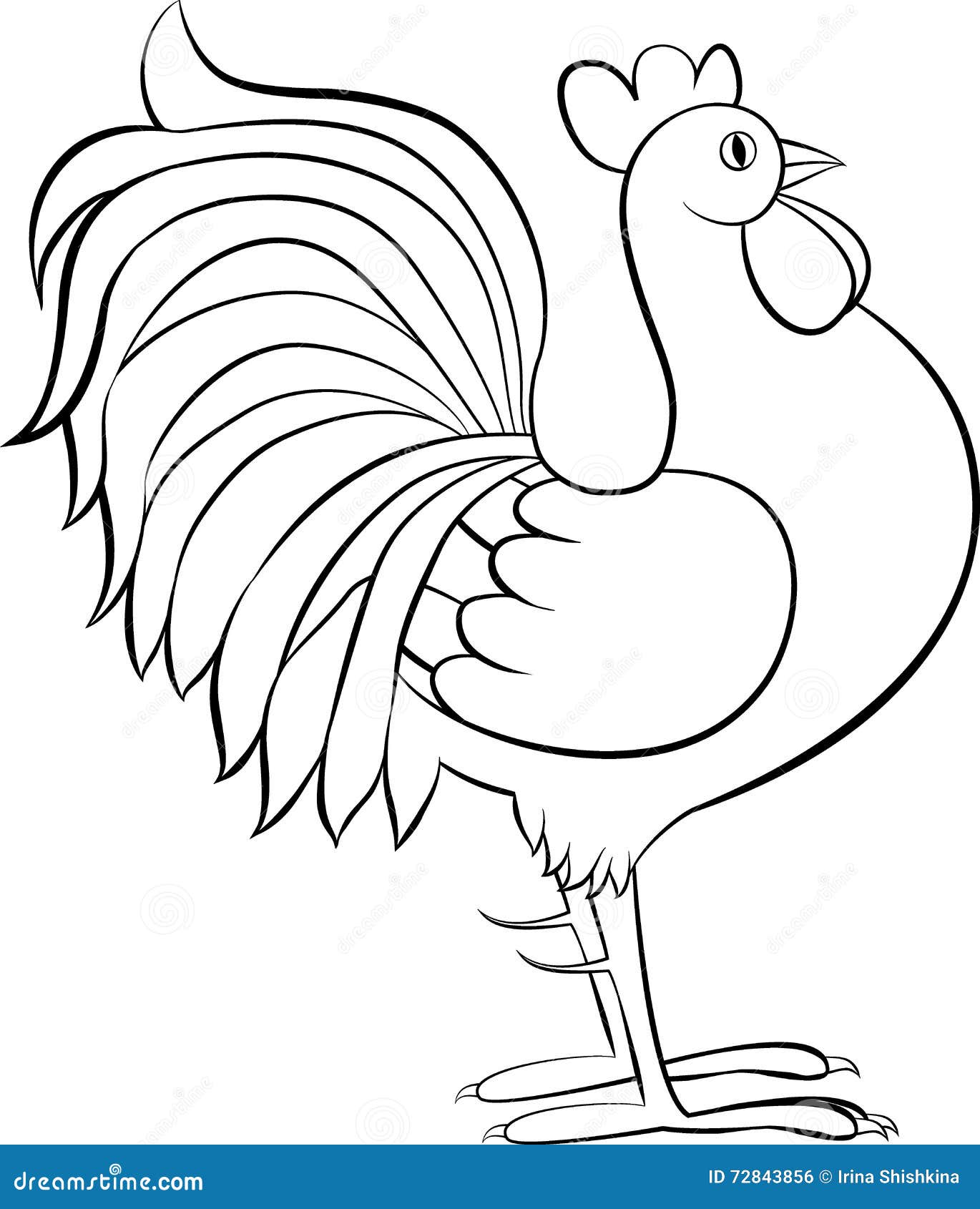 Tekening Van Haan of Haan Vectorschets Vector Illustratie ...