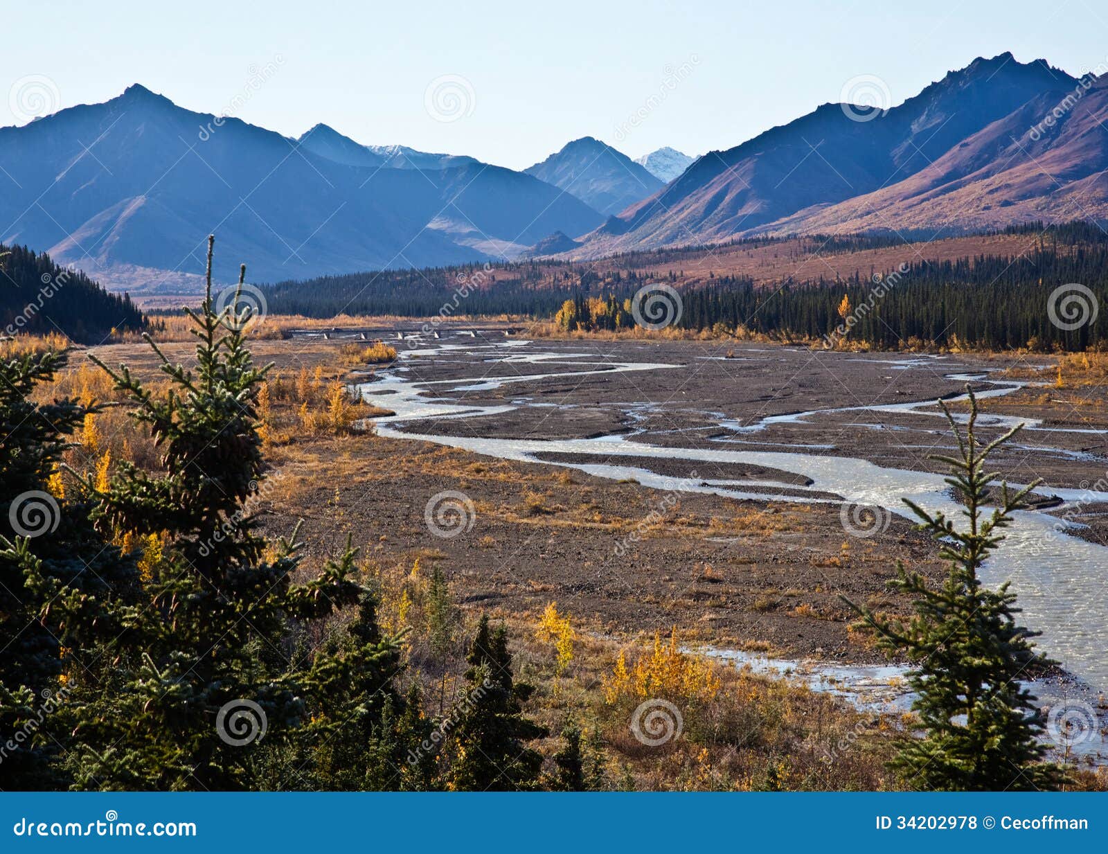 The Teklanika River in Fall Stock Photo - Image of preserve, tree: 34202978
