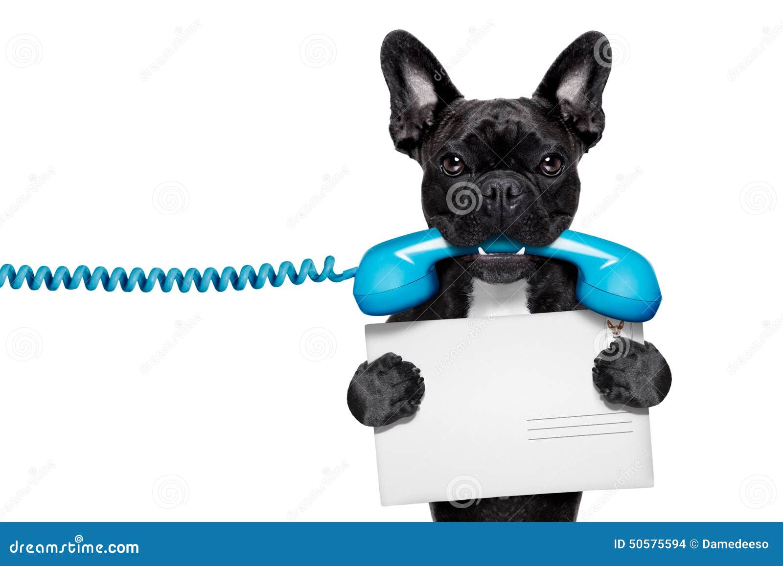 Teléfono Del Teléfono Del Perro Foto de archivo - Imagen de salida ...