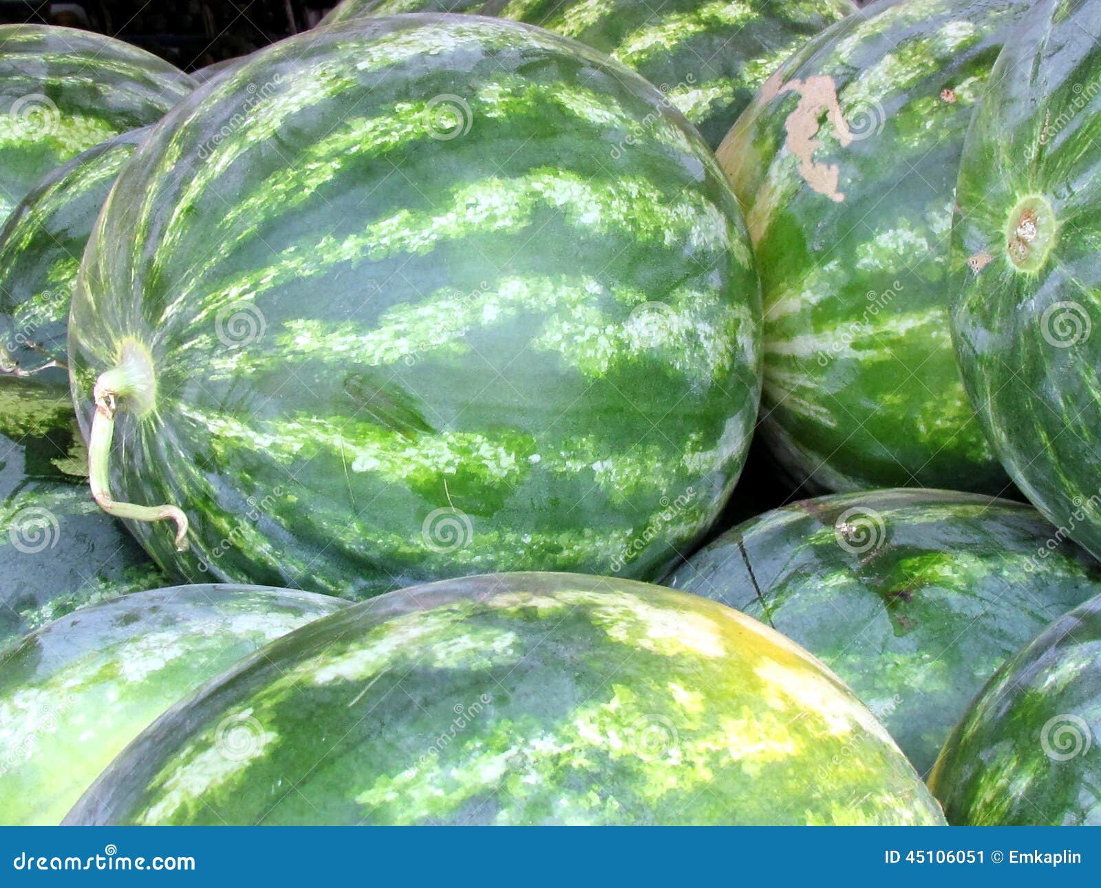 Tel Aviv Large Watermelon 2012 Stock Image - Image of sweet, fresh ...