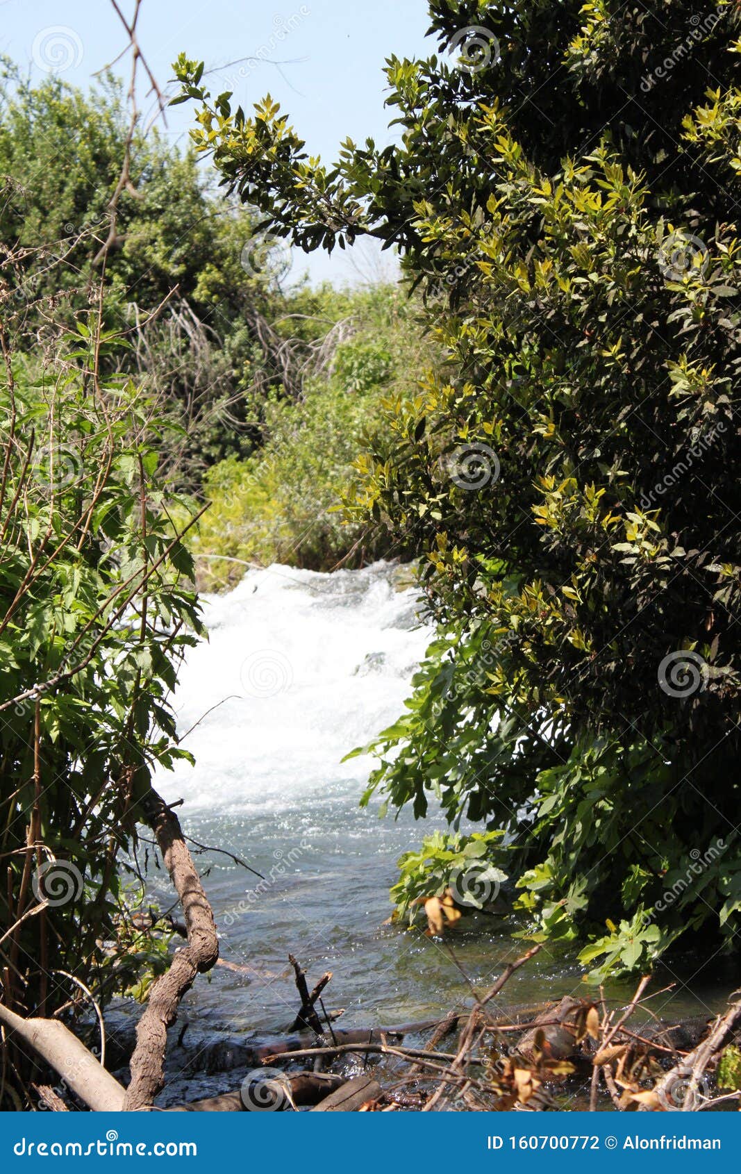 Tel Dan River Nature Reserve, North Israel Stock Photo - Image of ...