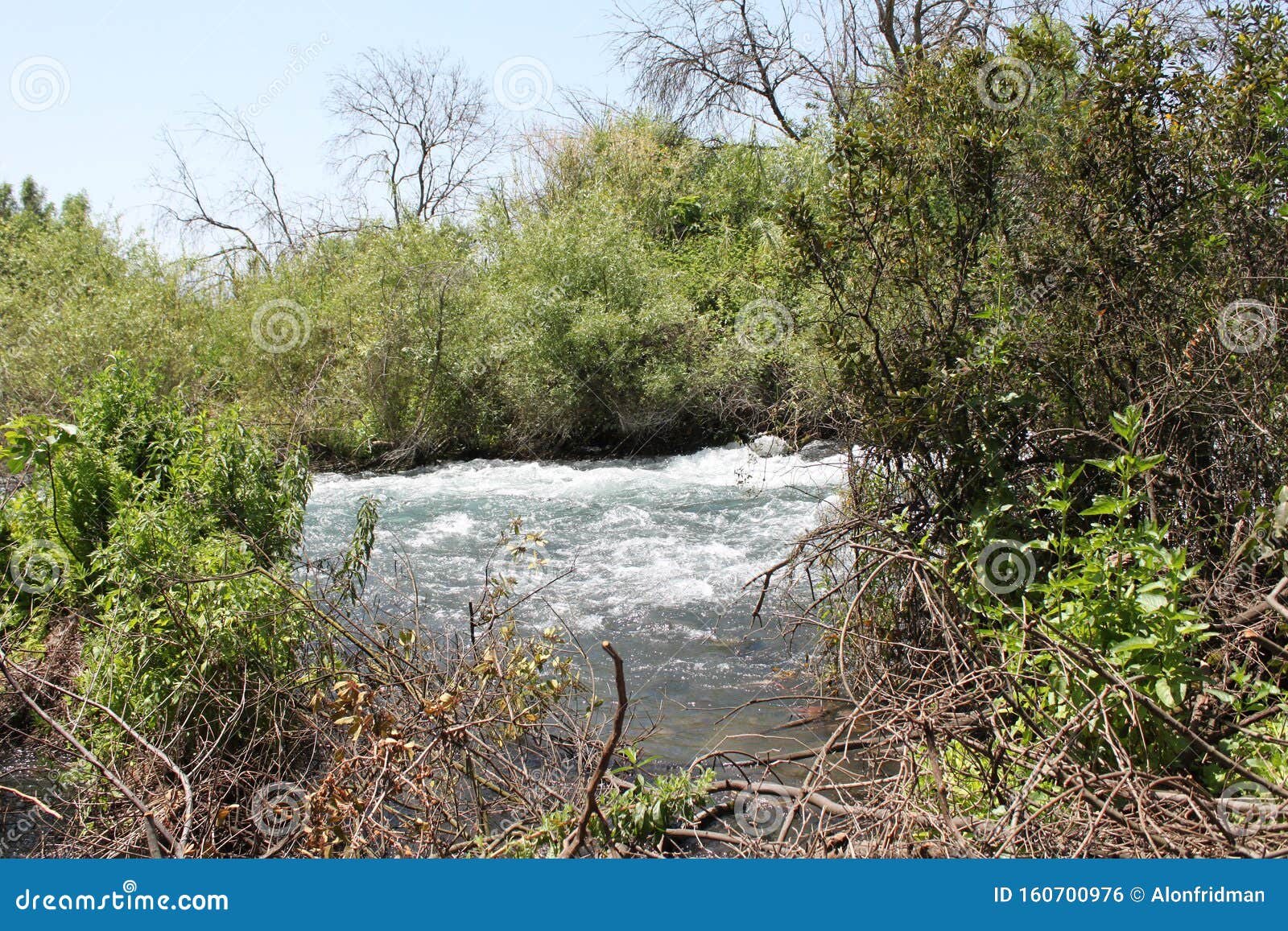 Tel Dan River Nature Reserve, North Israel Stock Photo - Image of flora ...
