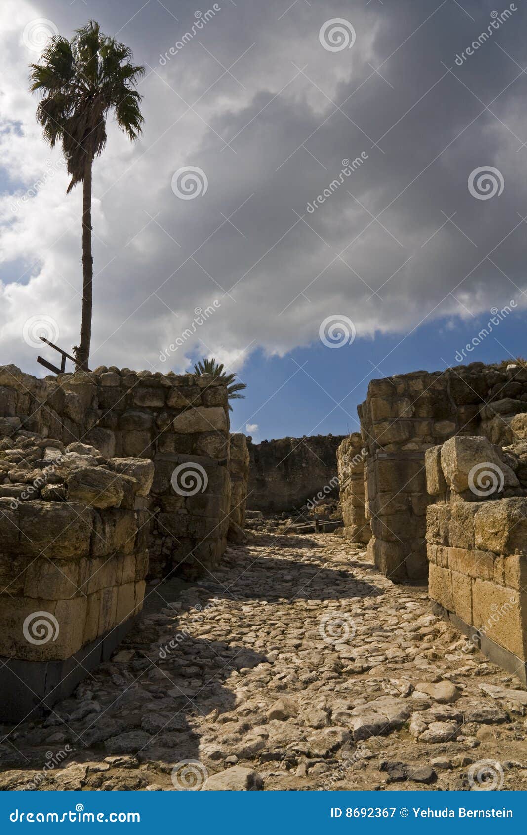 Tel Megiddo stock image. Image of entrance, israel, armageddon - 8692367