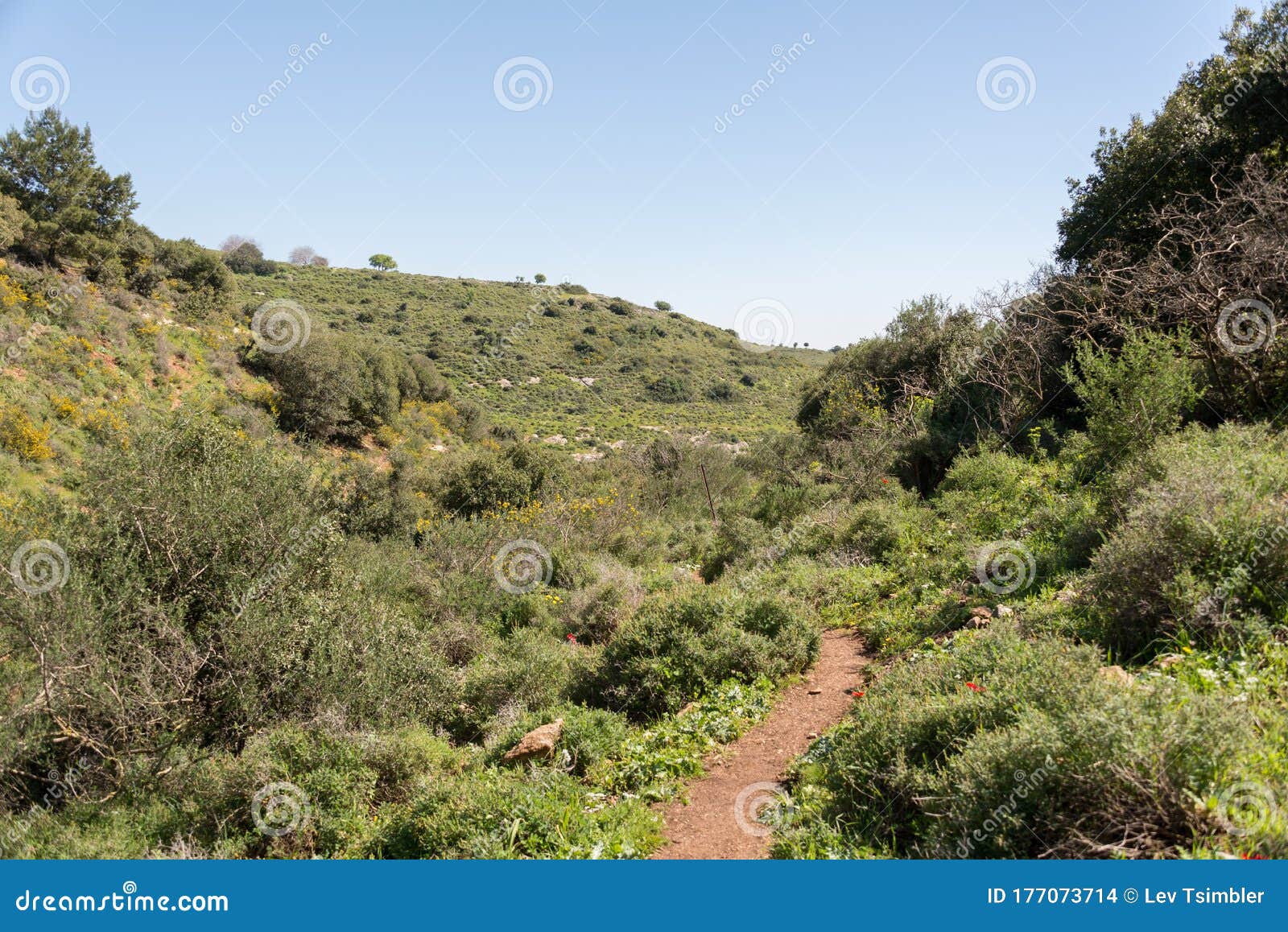 Tel Yodfat National Park stock photo. Image of archeology - 177073714