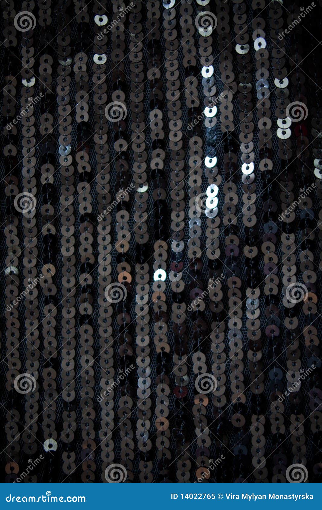 Tela del cequi imagen de archivo. Imagen de lustre, manera - 14022765