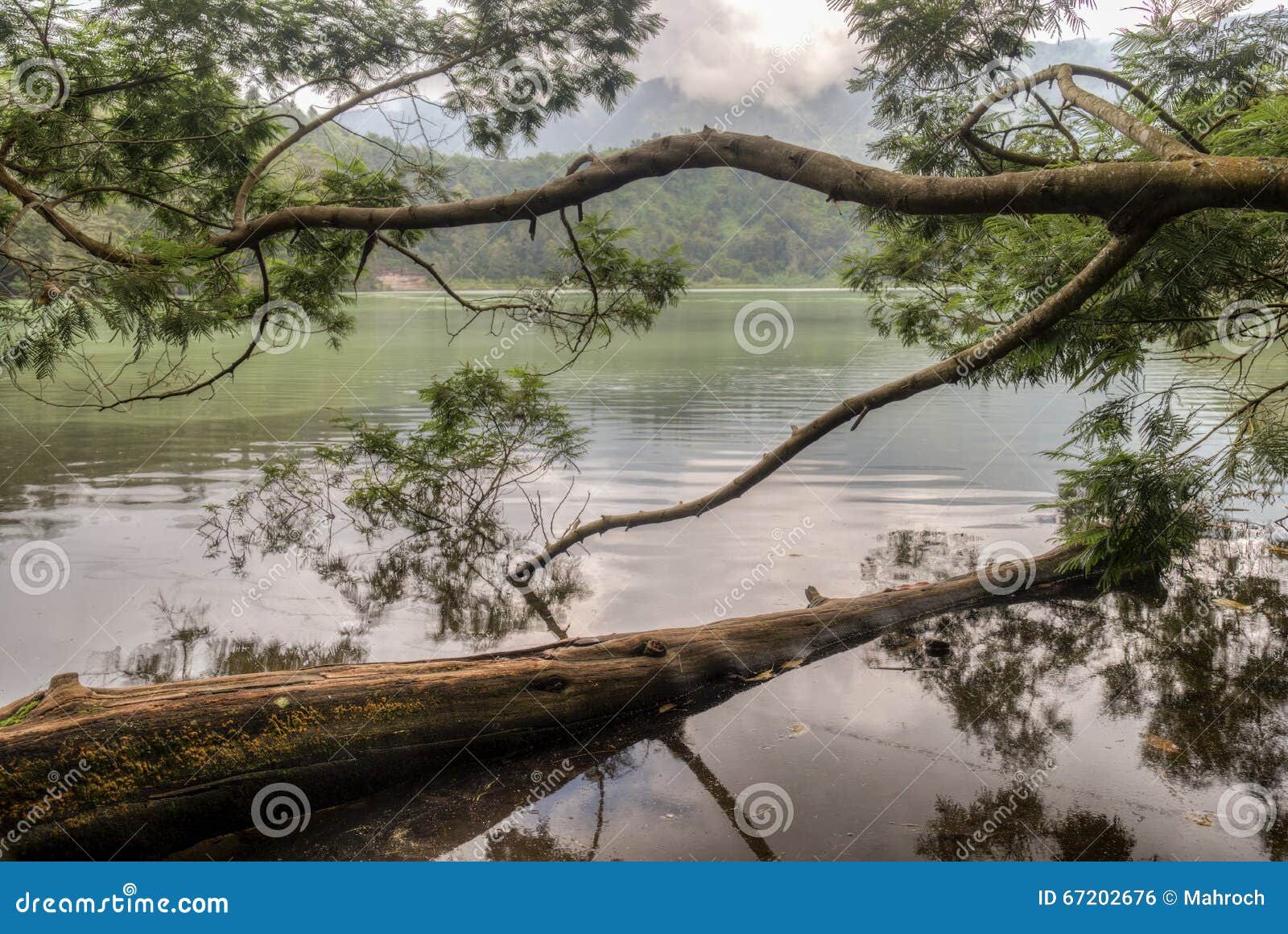 Telaga Warna Scene, Dieng Plateau, Java Indonesia Stock Photo - Image ...