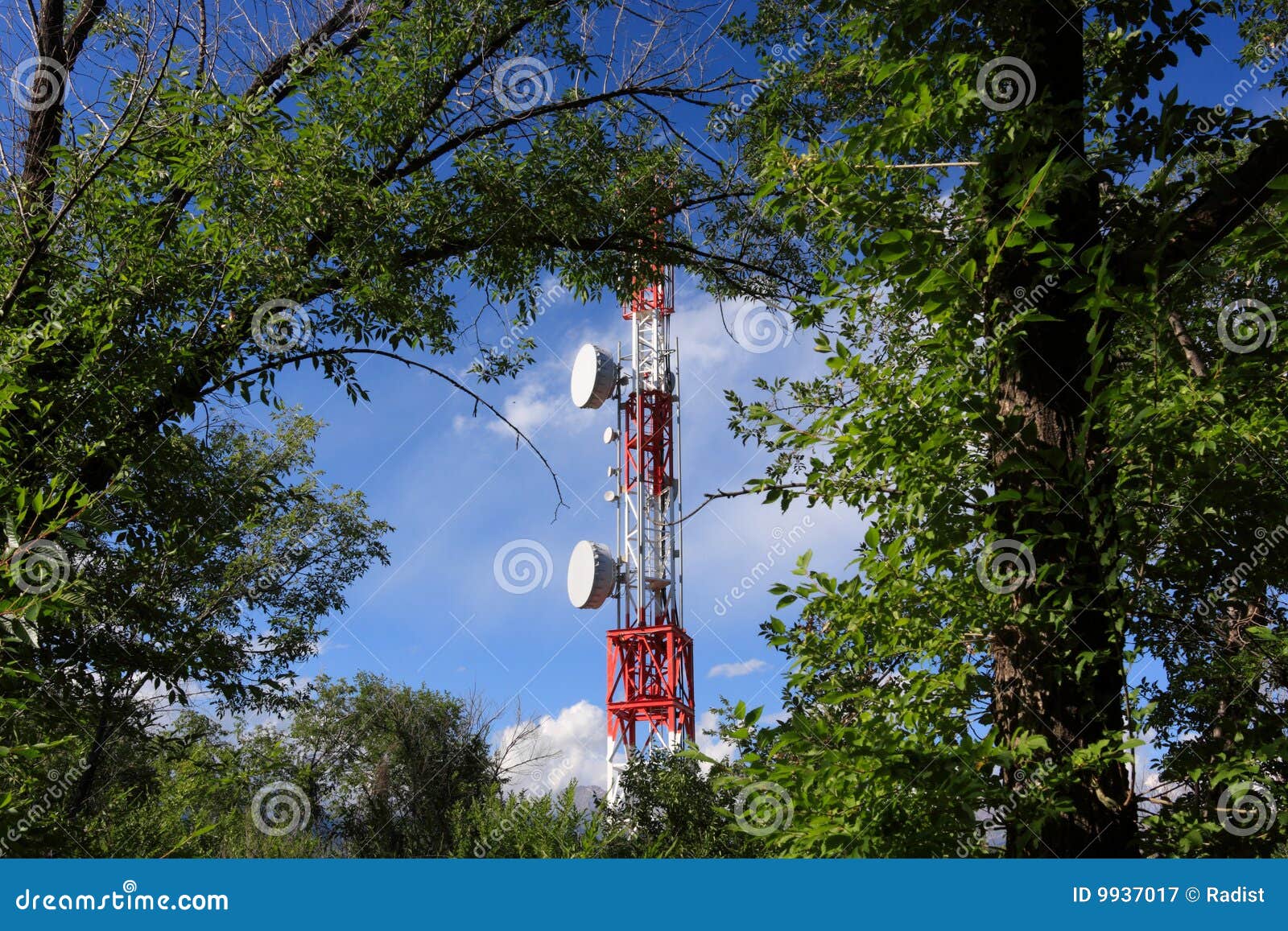Telecom mast in forest stock image. Image of cable, antenna - 9937017