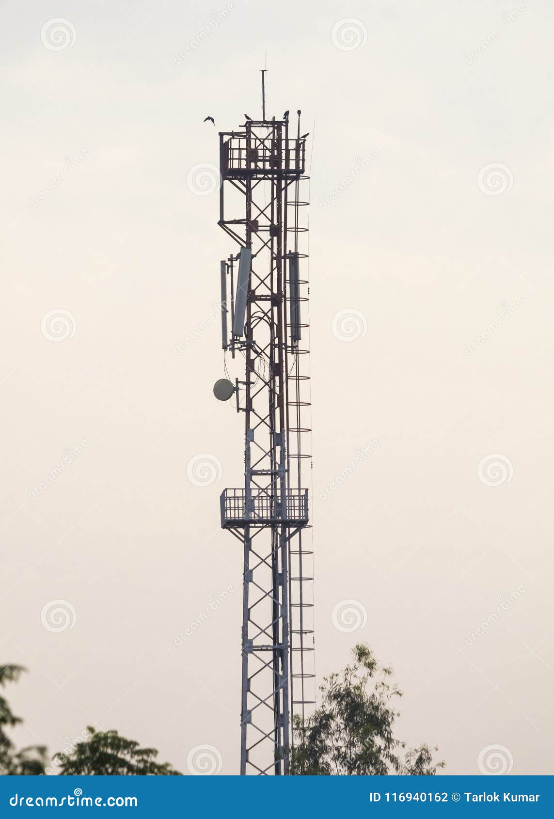 Telecom Tower in Rural Area Stock Photo - Image of radio, signal: 116940162