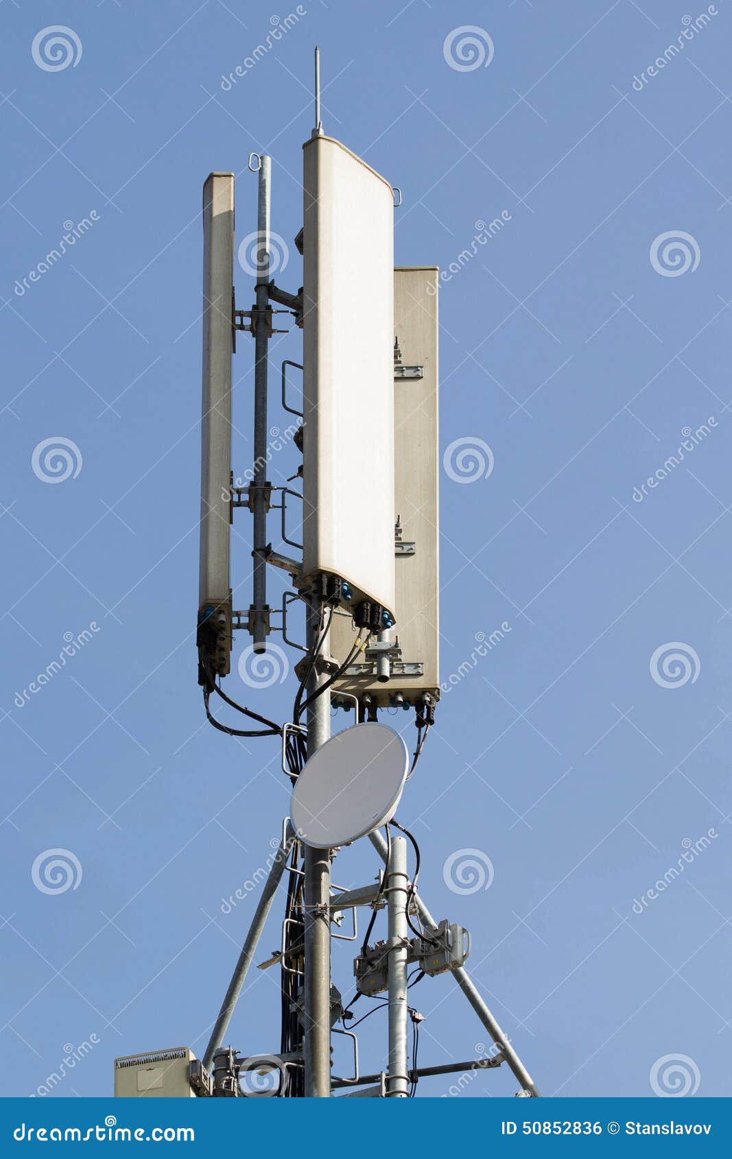 Mobile Operator Tariff. Join Digital World. Download Application. Guy ...