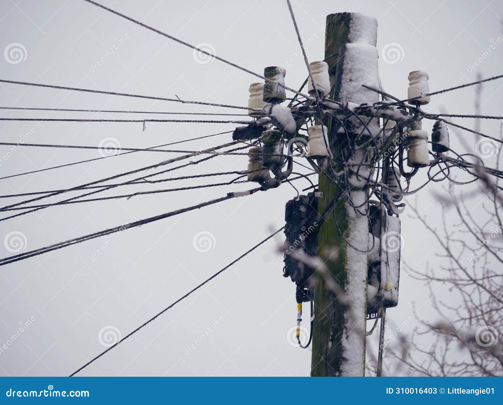 Telegraph Pole Covered in Winter Snow Stock Image - Image of problem ...
