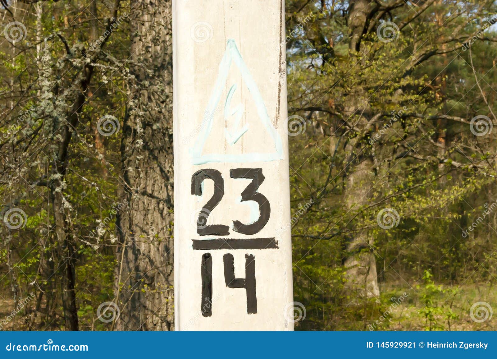 Telegraph Pole on the Forest Background Stock Image - Image of stop ...