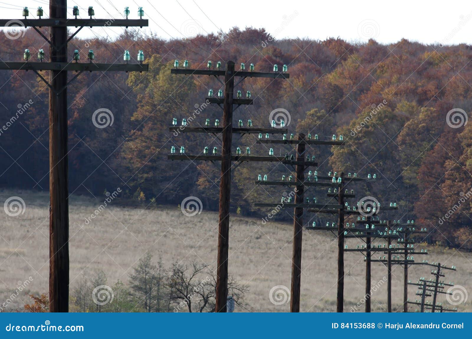 Old Telegraph Poles On The Railroad. Rural Landscape. Stock Photo ...