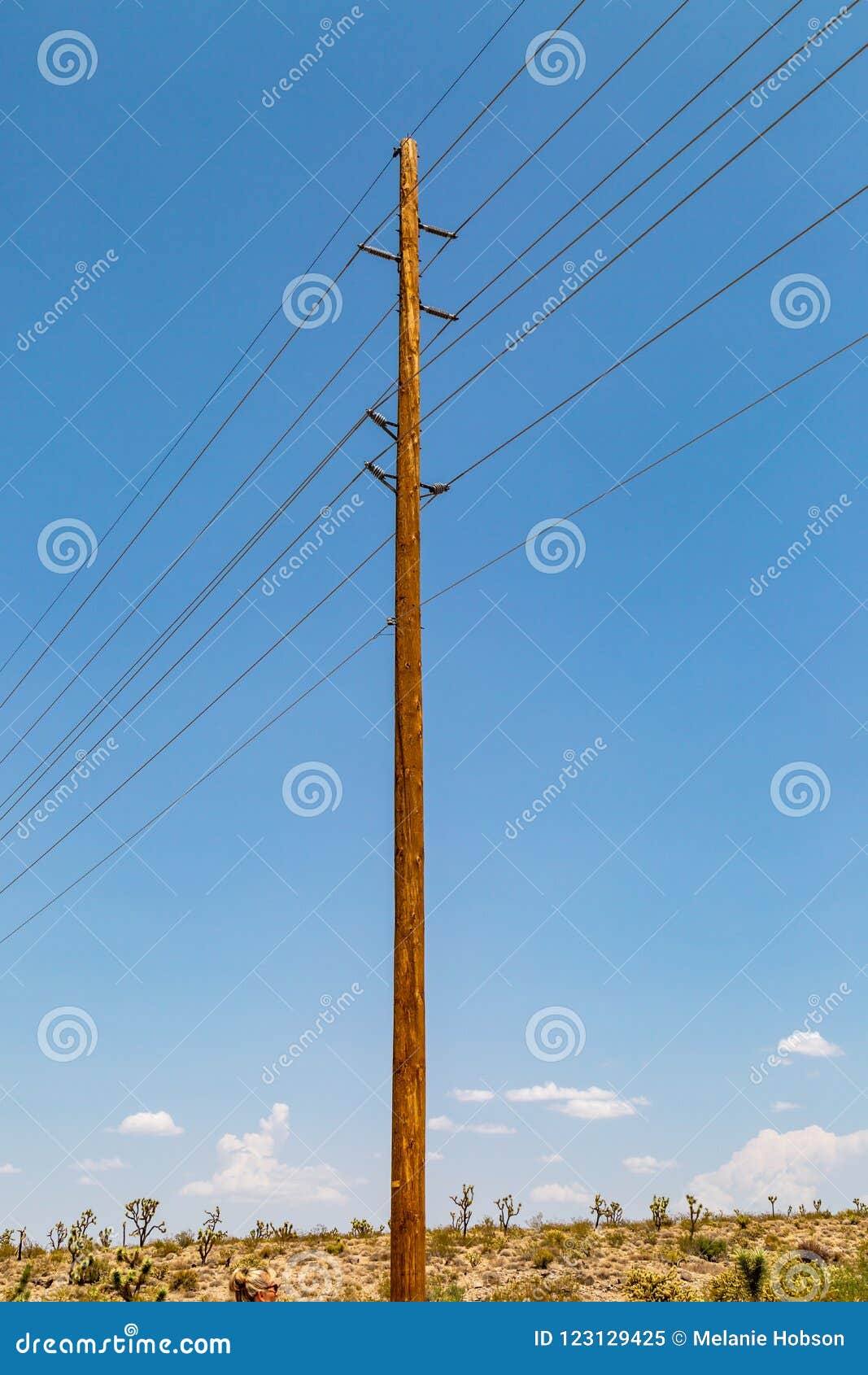 Telegraph Wires stock image. Image of remote, connection - 123129425