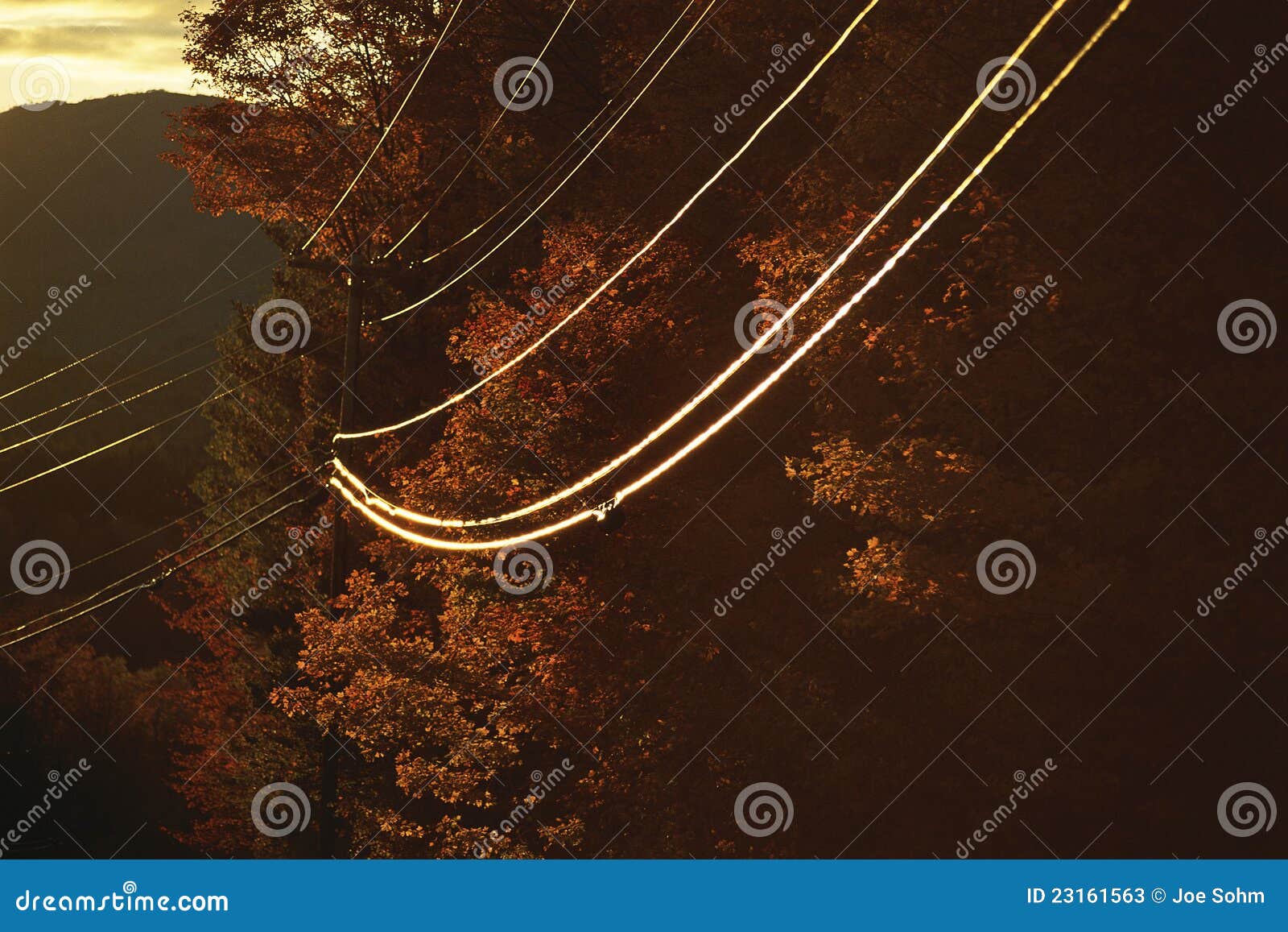 Telephone lines stock image. Image of color, wires, lines - 23161563