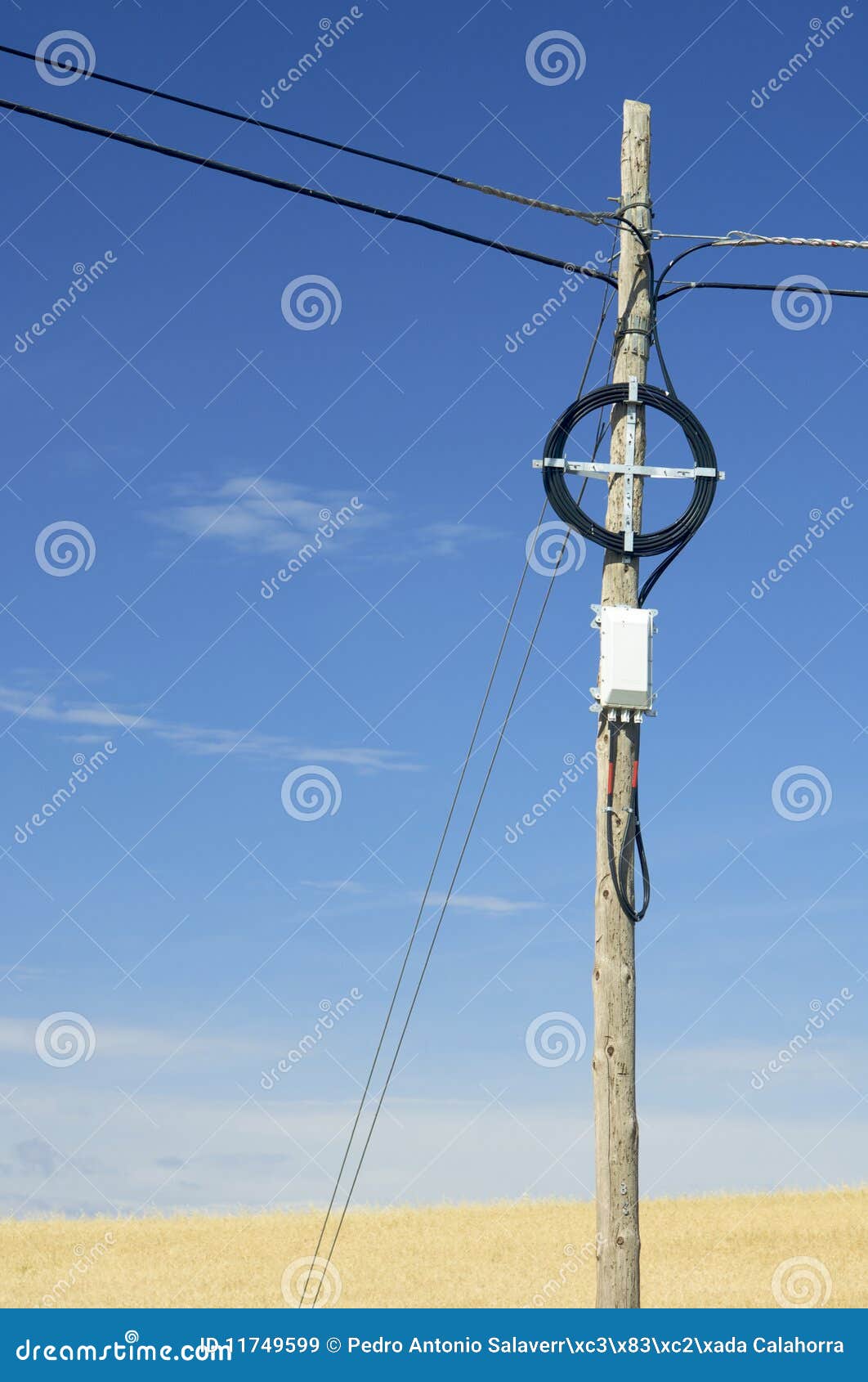 Telephone pole stock image. Image of global, industry - 11749599