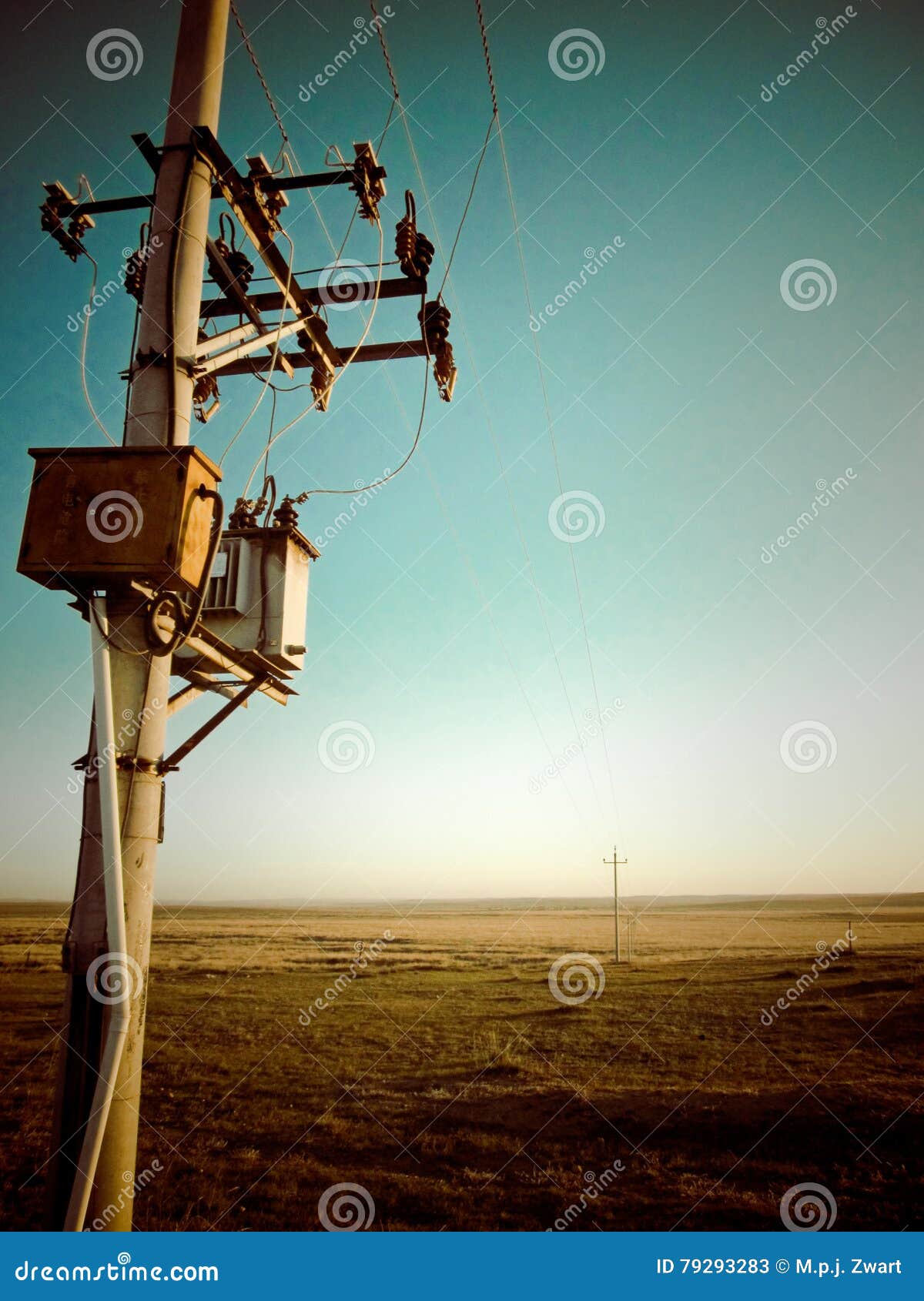 Telephone pole in field stock image. Image of calm, international ...