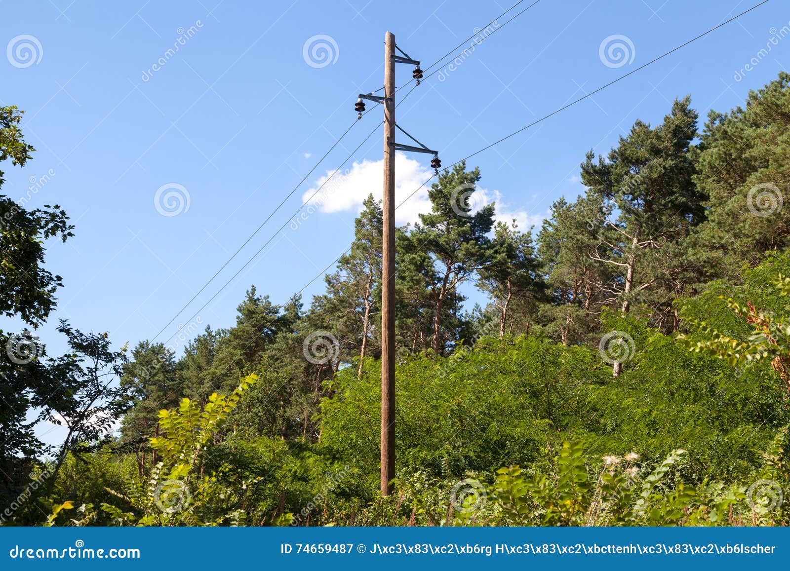 Telephone pole in a forest stock image. Image of poles - 74659487