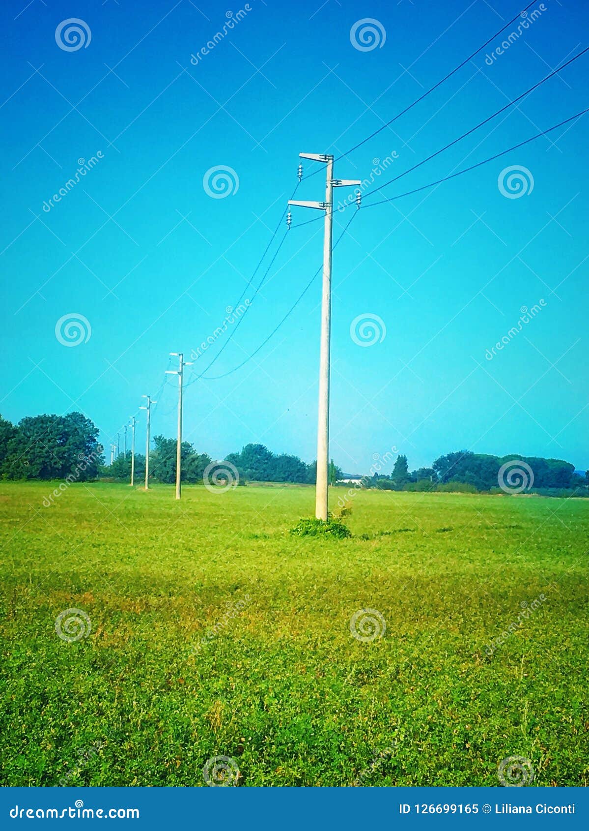 Telephone poles stock image. Image of telephone, nature - 126699165