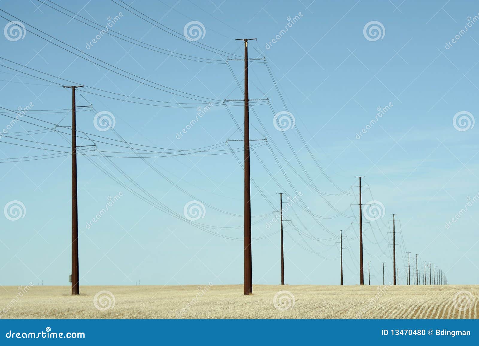 Telephone Poles stock photo. Image of communicate, infrastructure ...