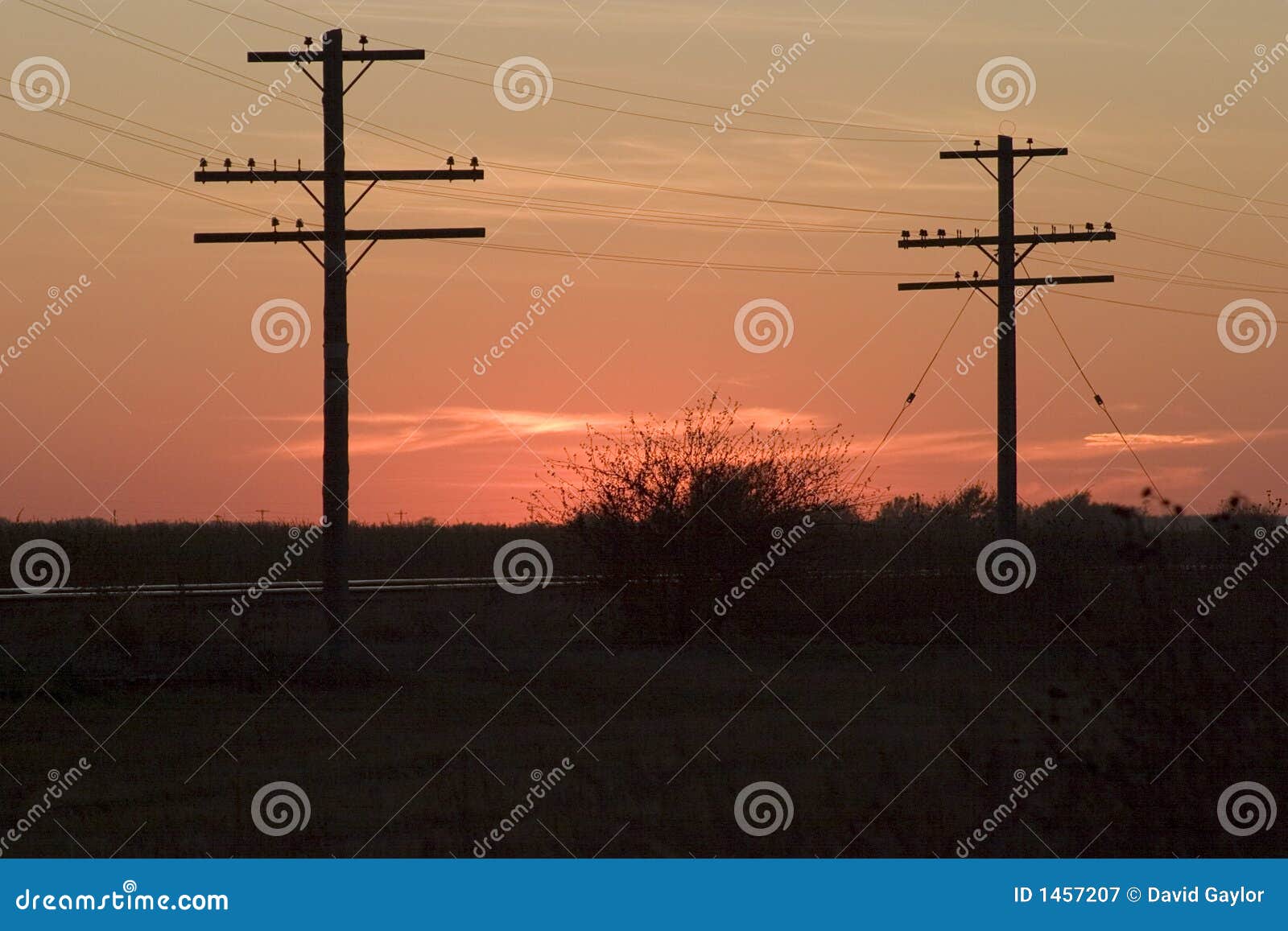 Telephone poles and sunset stock image. Image of sunset - 1457207