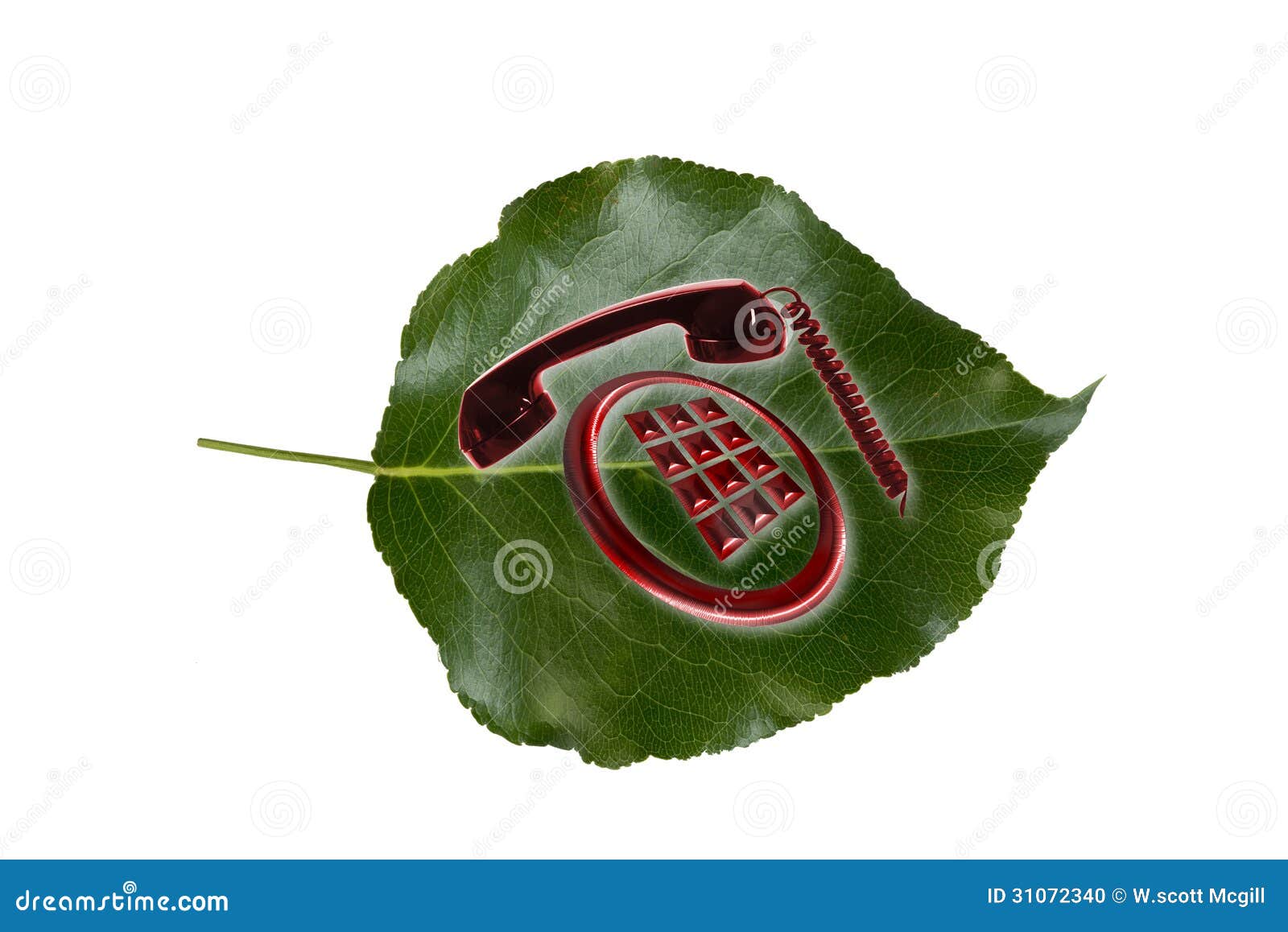 Telephone Sign on Green Leaf Stock Photo - Image of nature, green: 31072340
