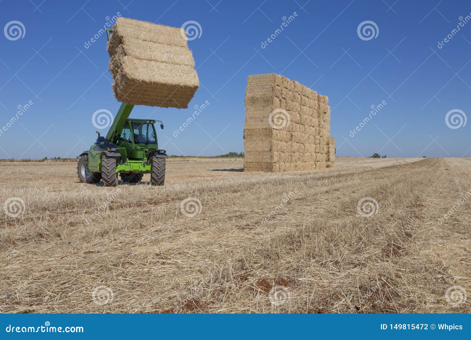 Agricultural Telescopic Handler Intended For Agricultural Loading And ...