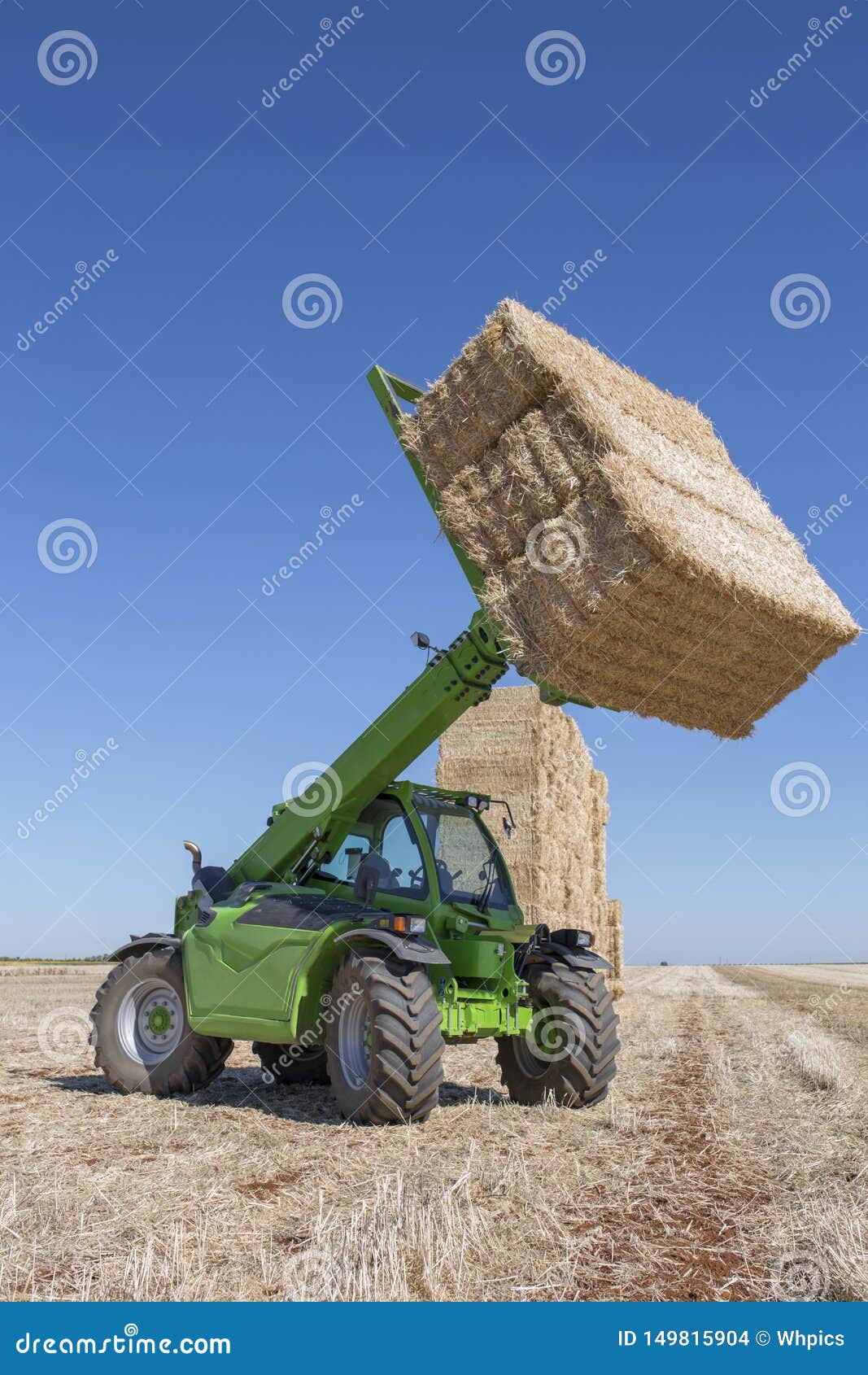 Agricultural Telescopic Handler Intended For Agricultural Loading And ...