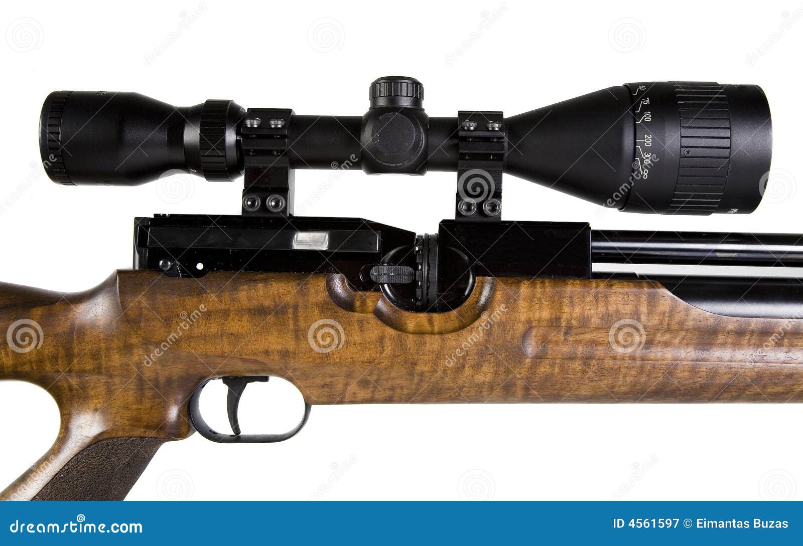 Telescopic Sight On Snipers Rifle Picture. Image: 4561597