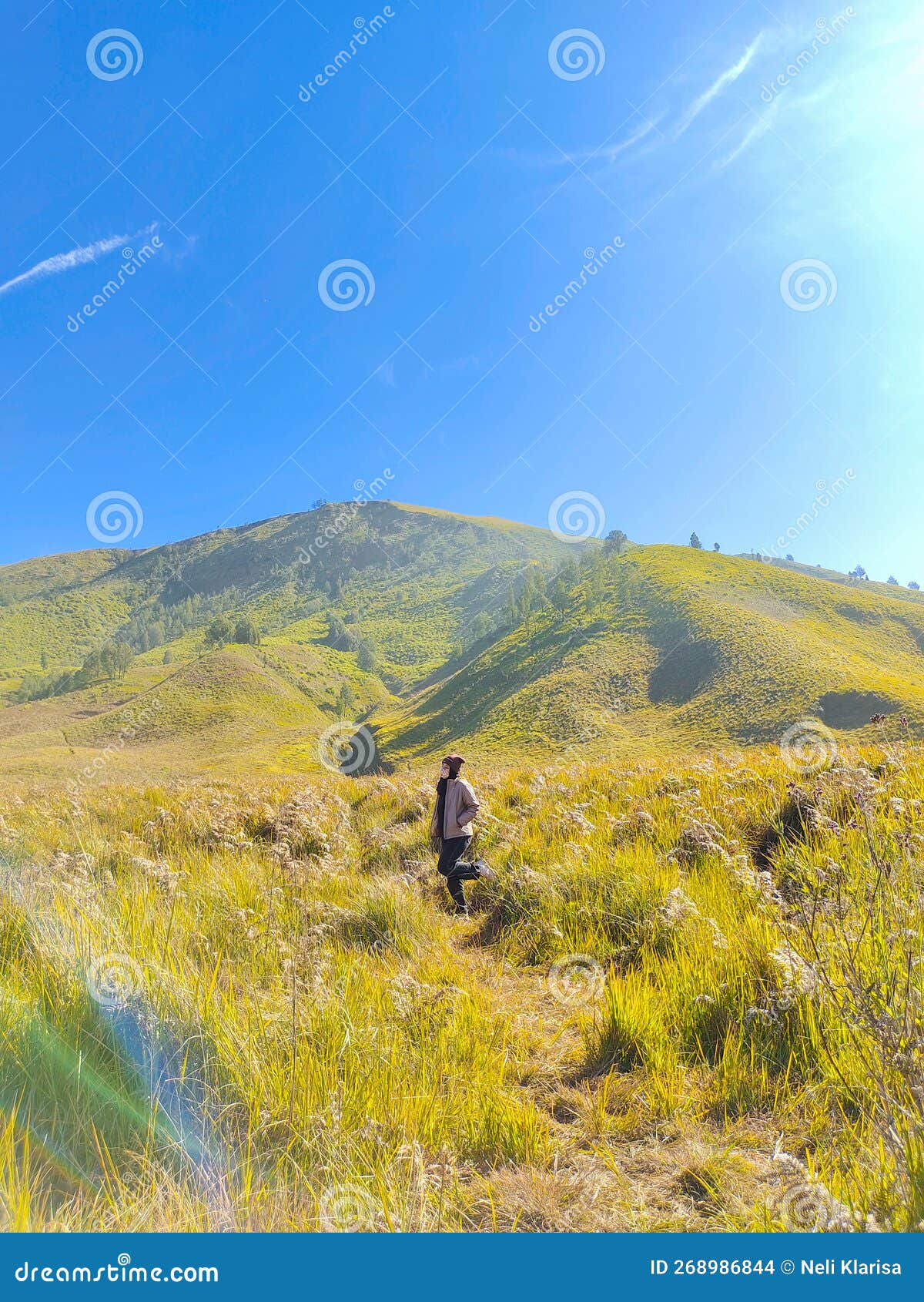 Teletubbies Hill Este Java Indonesia Imagen de archivo editorial ...