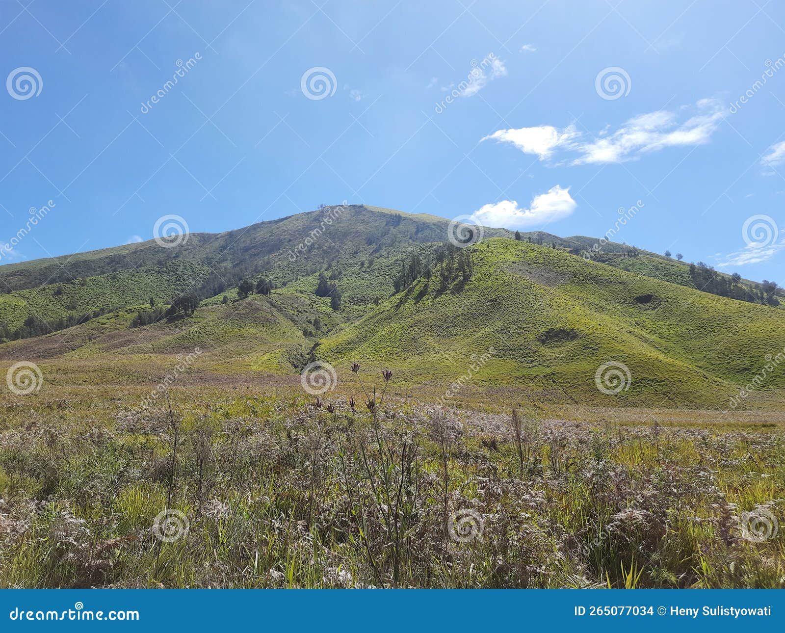 Teletubbies Hills at Mount Bromo East Java, Indonesia Stock Photo ...
