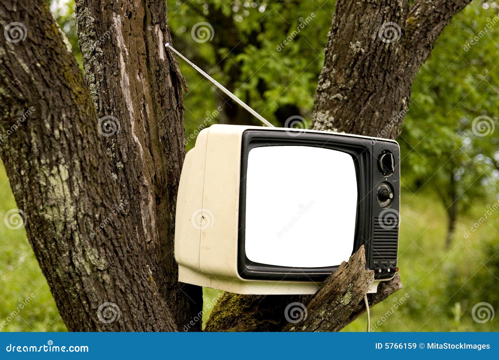 Television stock image. Image of broadcast, display, program - 5766159