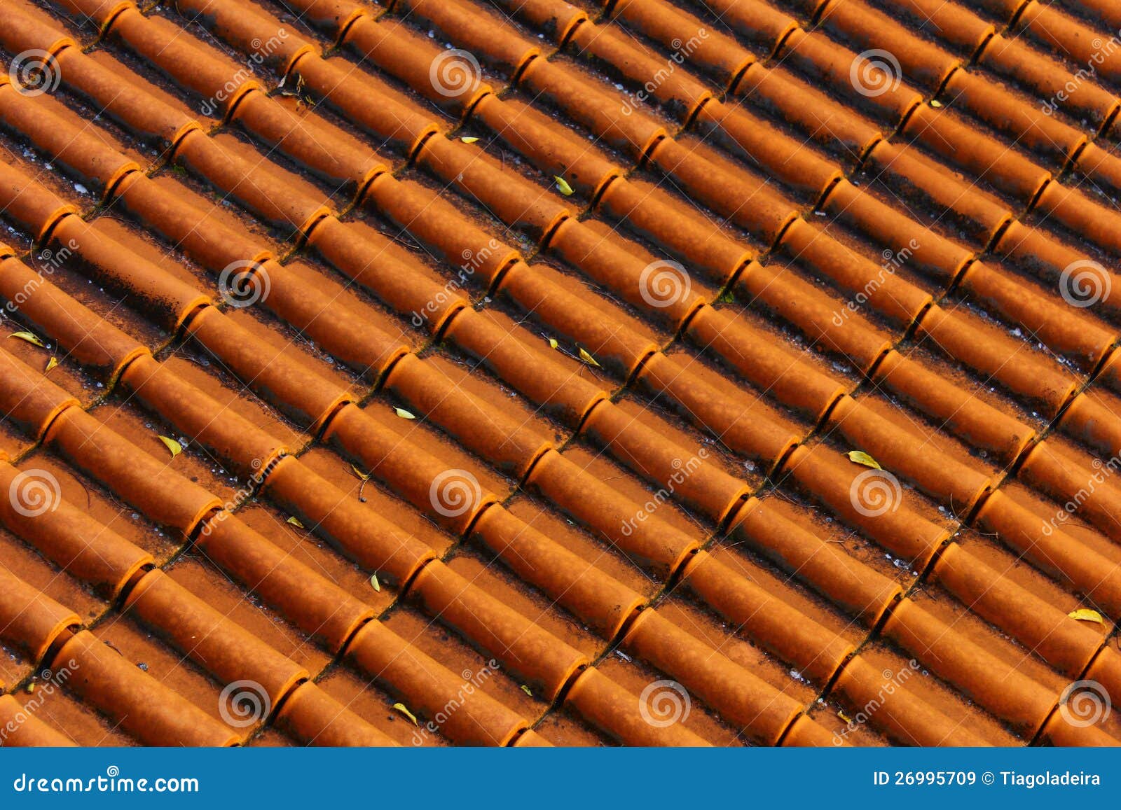 Telhas de telhado imagem de stock. Imagem de elevado - 26995709