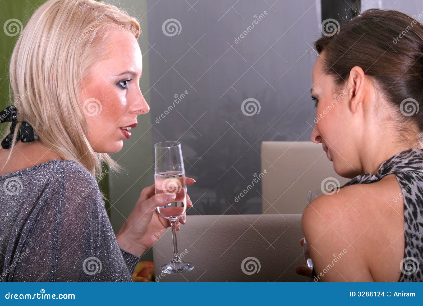 Telling Secrets stock photo. Image of chatter, portraits - 3288124