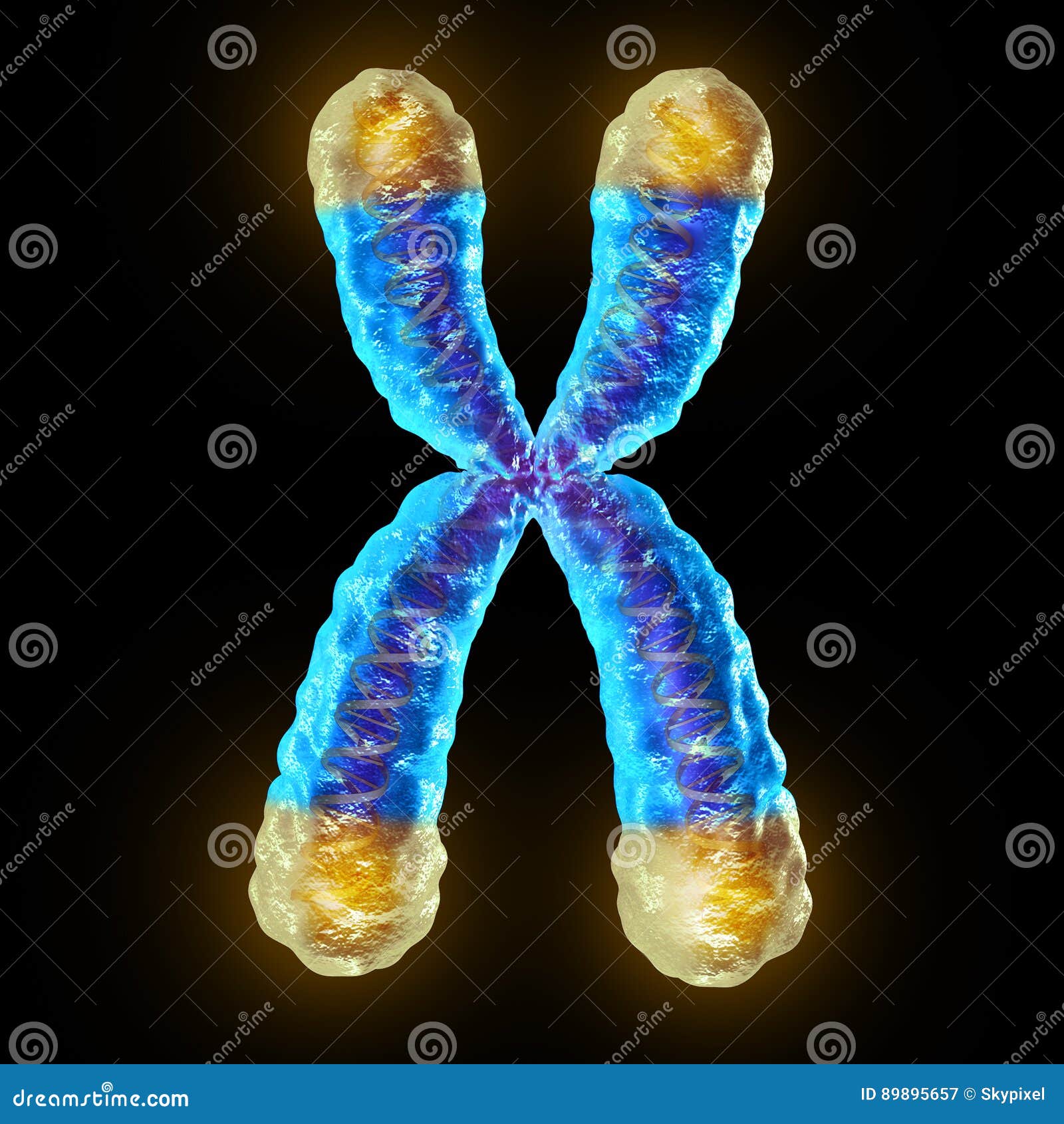 Telomere illustration stock. Illustration du génome, gènes - 89895657