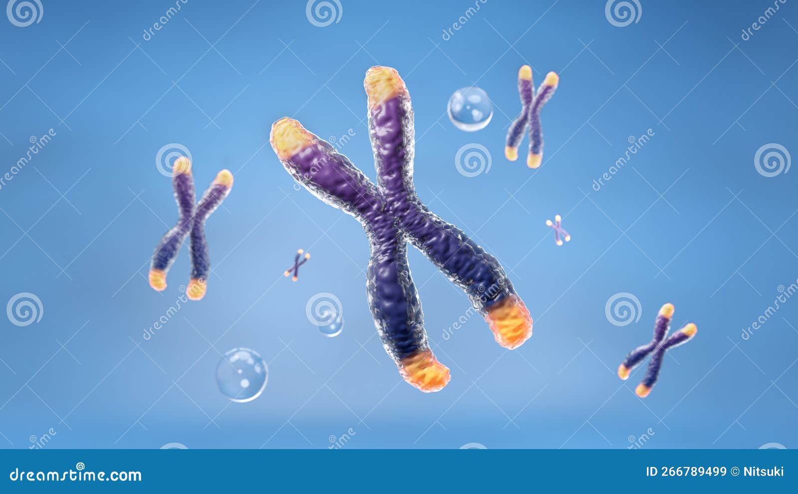 Telomere Chromosome With Bubble Floating On Blue Background Royalty ...