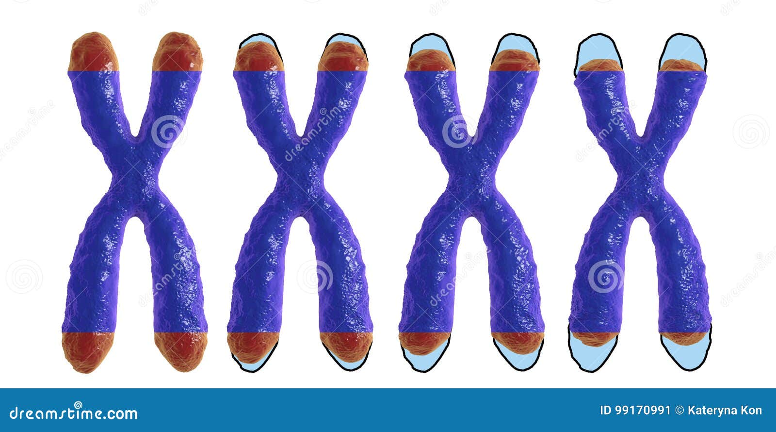 Telomere Shortening, Conceptual 3D Illustration Stock Illustration ... Telomere Shortening, Conceptual 3D Illustration Stock Illustration ...