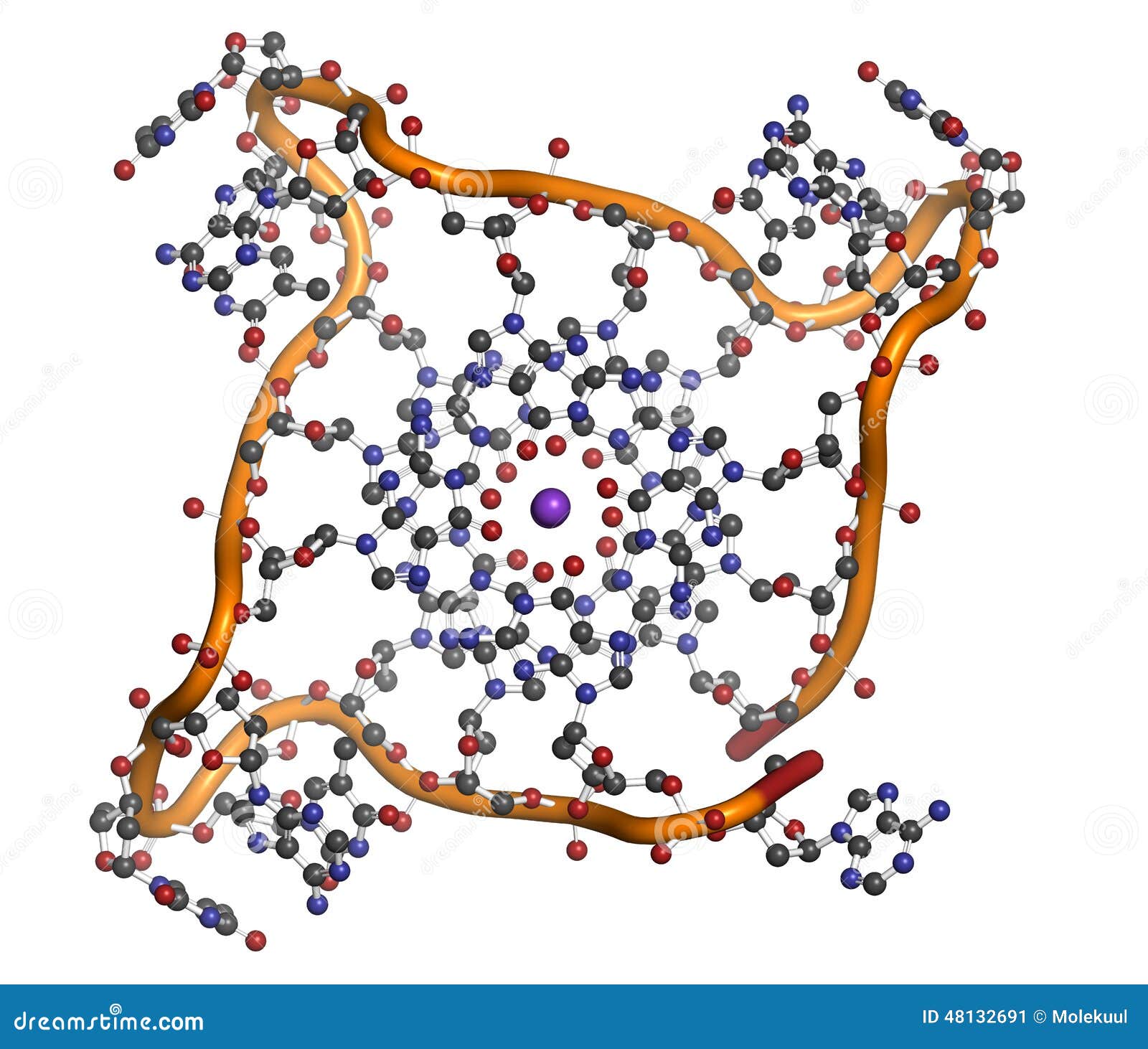 Telomere: Structure of Human Telomeric DNA. Stock Illustration ...