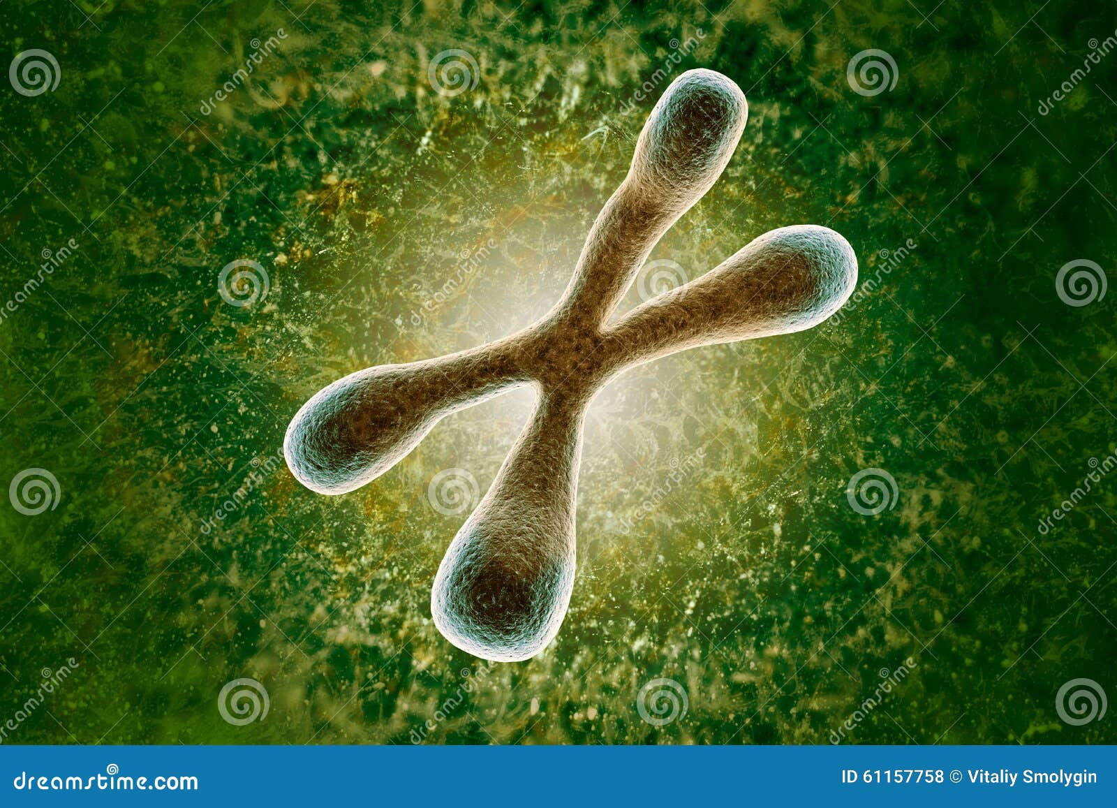 Telomeres stock illustration. Illustration of exam, imagination - 61157758