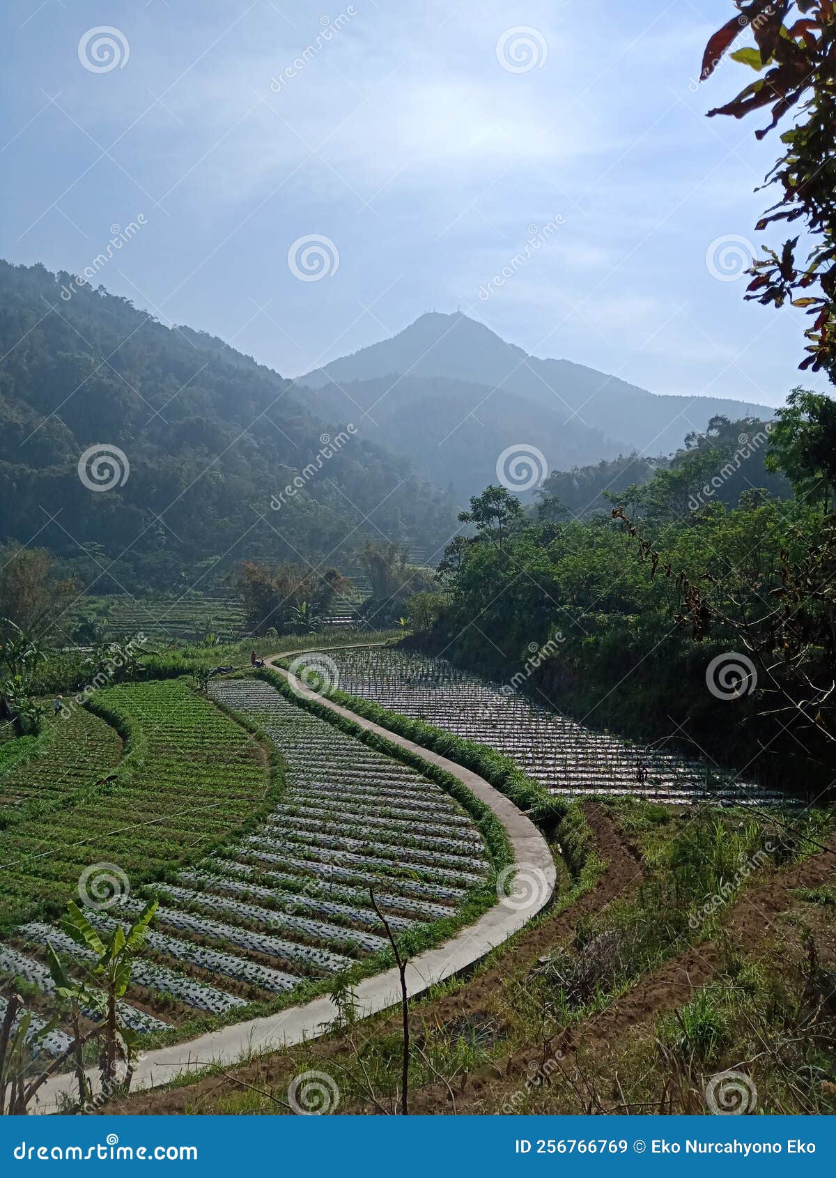 Telomoyo Mountain is Beautiful Stock Image - Image of mountain, field ...