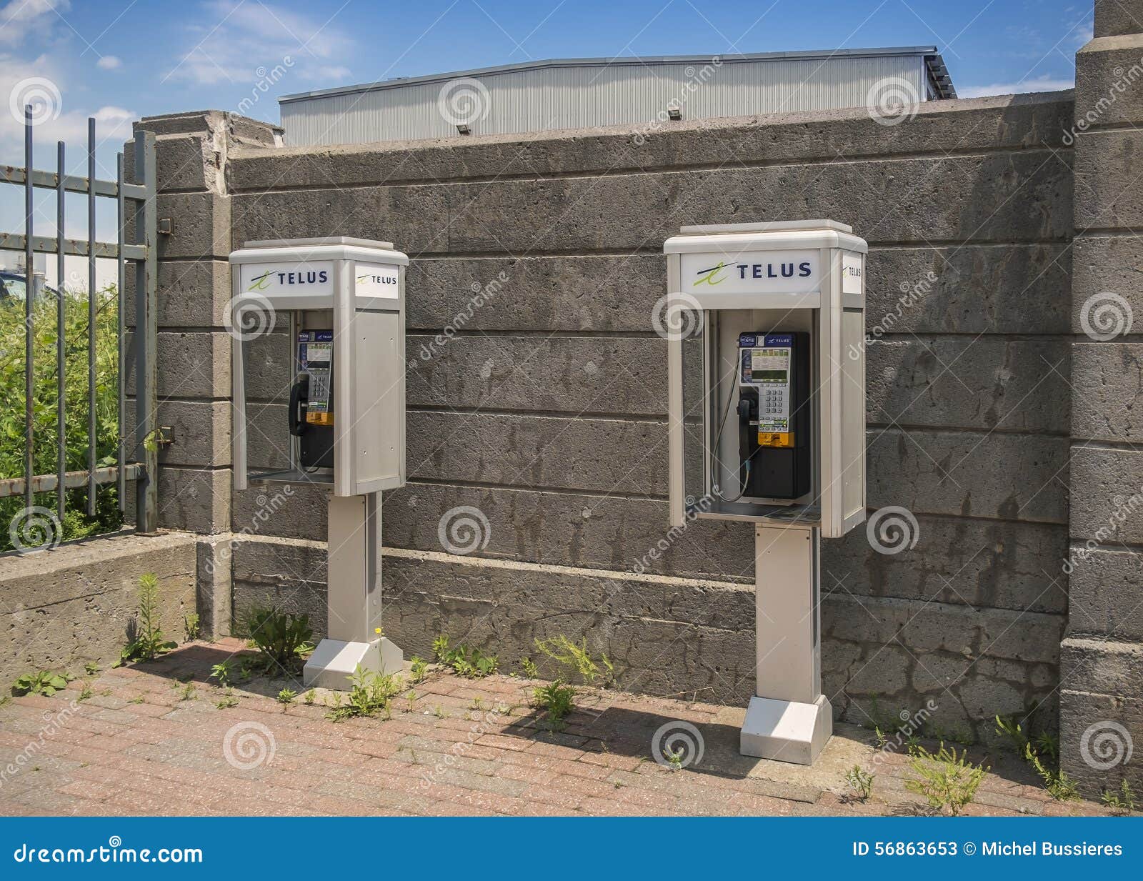 Telus Public phone editorial stock photo. Image of trees - 56863653
