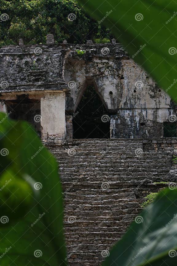 Temaya stock photo. Image of maya, empire, palenque - 142569592