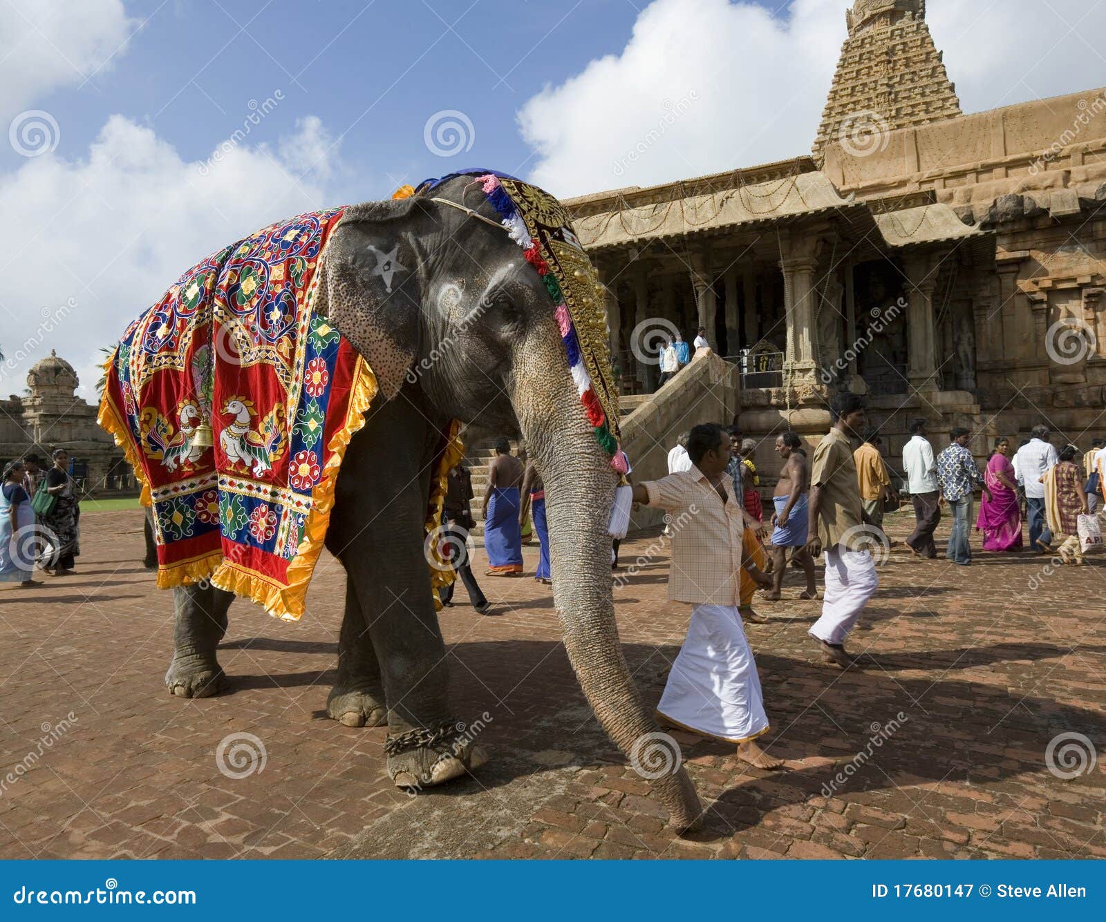 Tempel-Elefant - Thanjavur - Indien Redaktionelles Stockfotografie ...