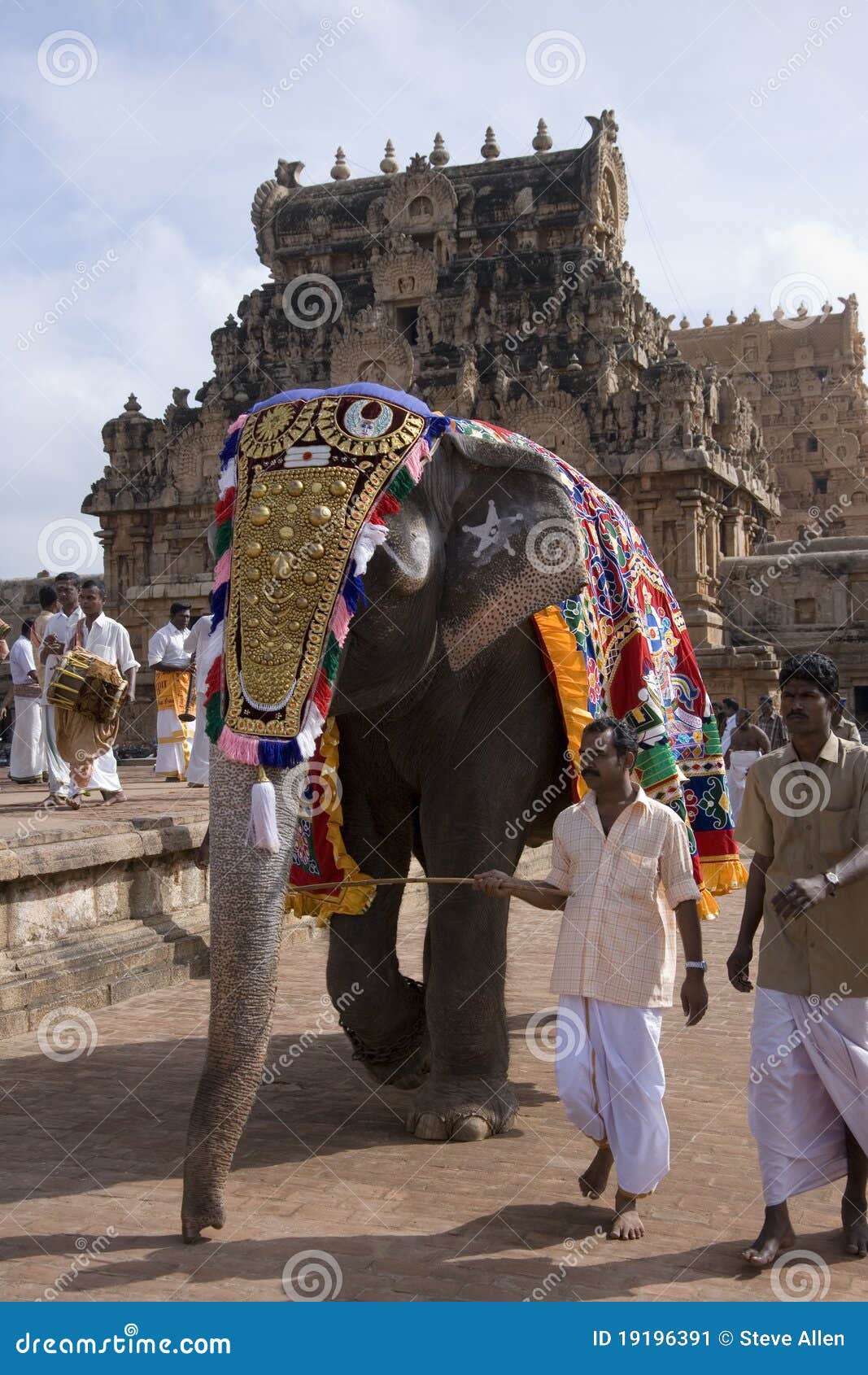 Tempel-Elefant - Thanjavur - Indien Redaktionelles Foto - Bild von ...