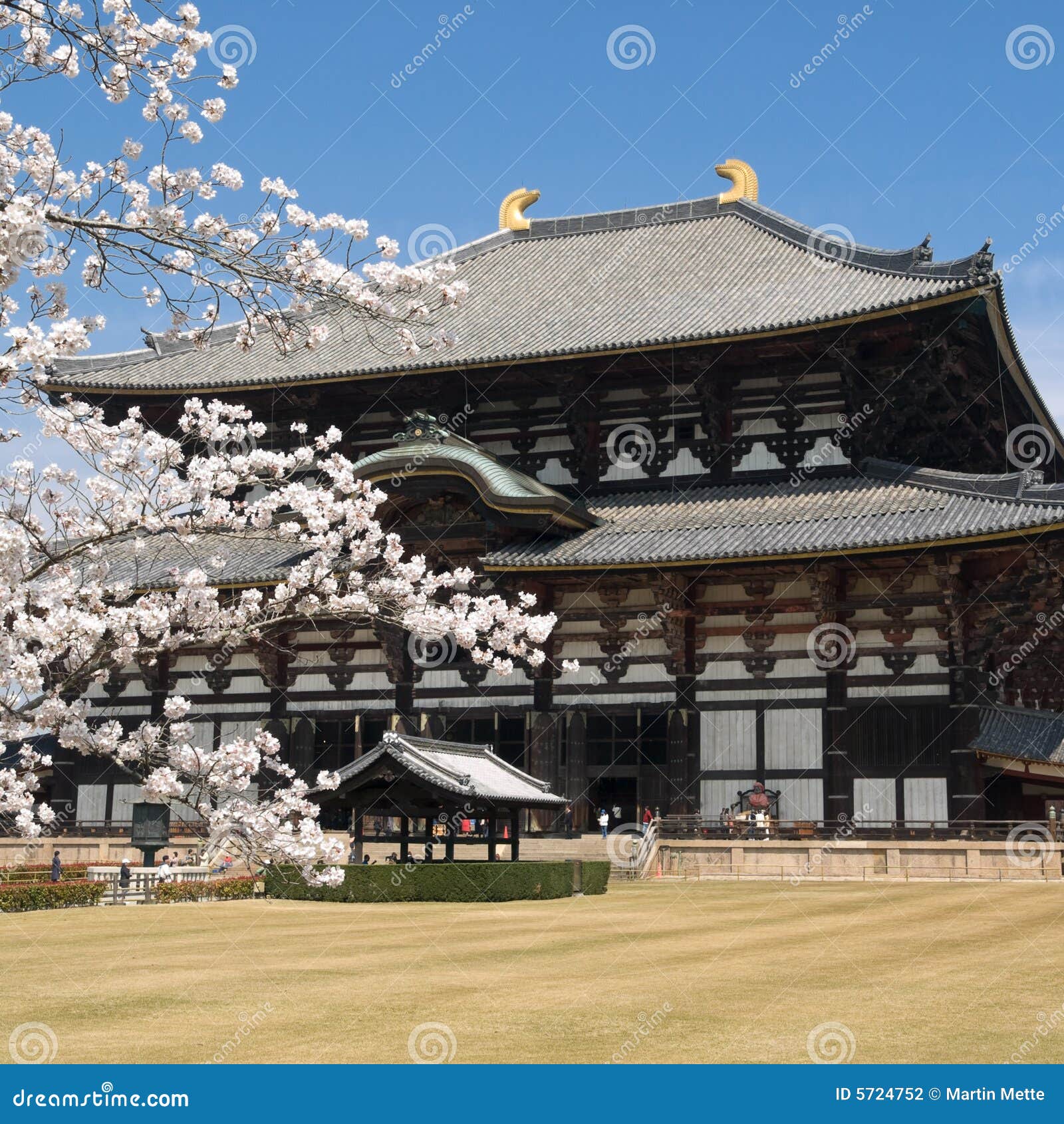 Tempel Nara-Todaiji stockfoto. Bild von symbol, kulturell - 5724752