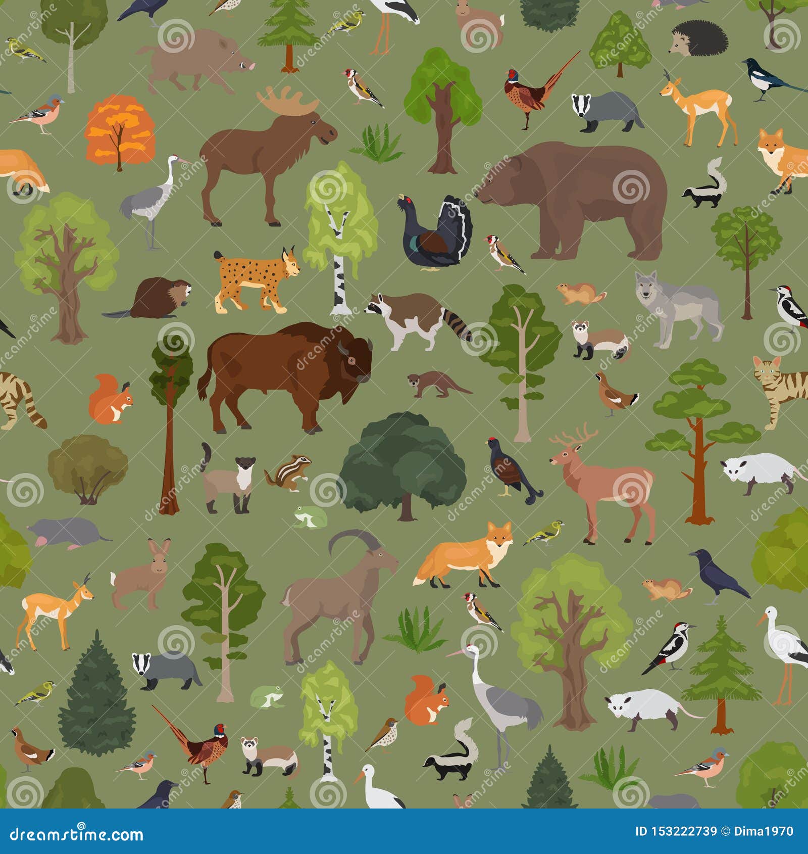 Temperate Broadleaf Forest and Mixed Forest Biome. Terrestrial ...