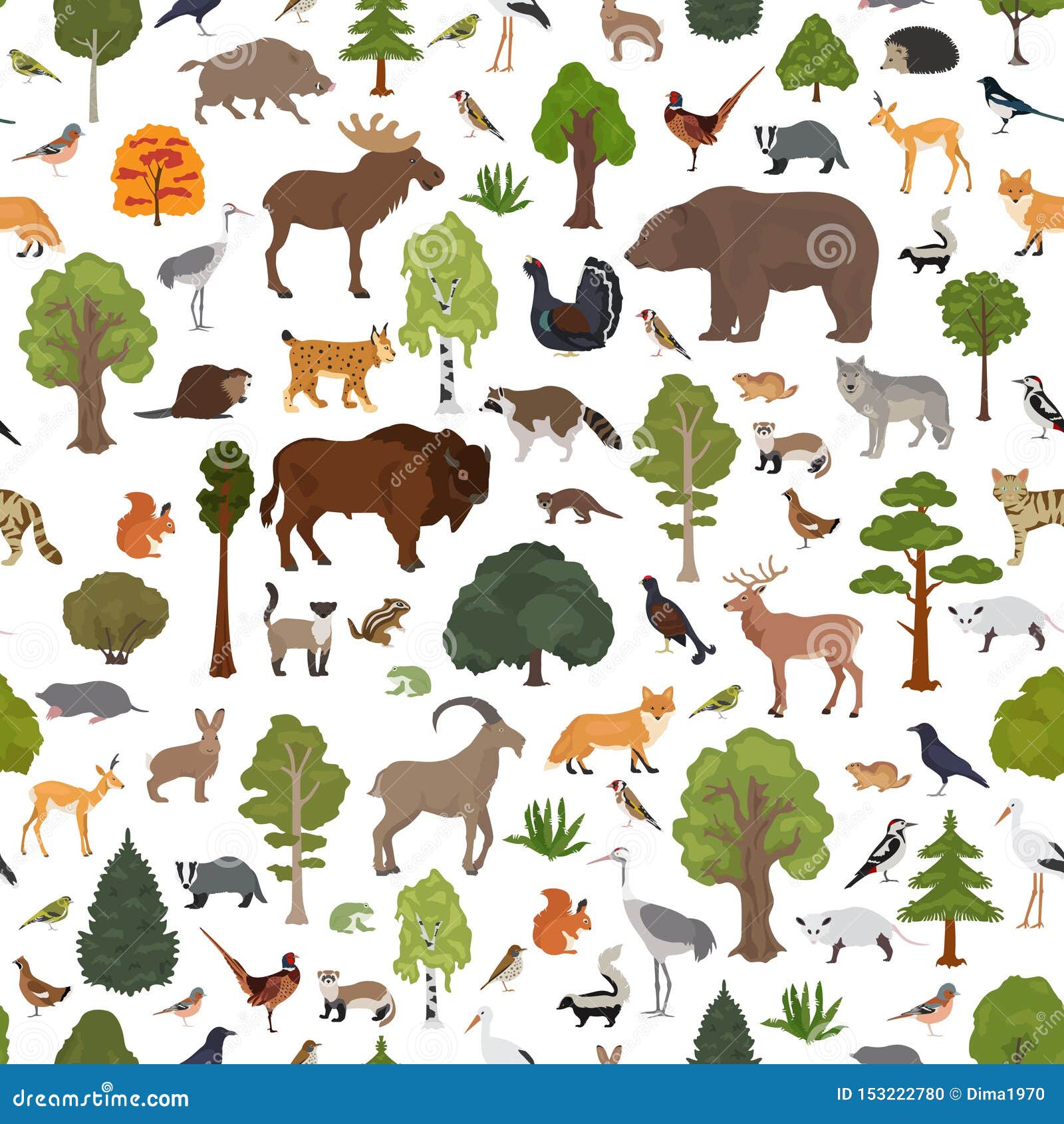 Temperate Broadleaf Forest and Mixed Forest Biome. Terrestrial ...