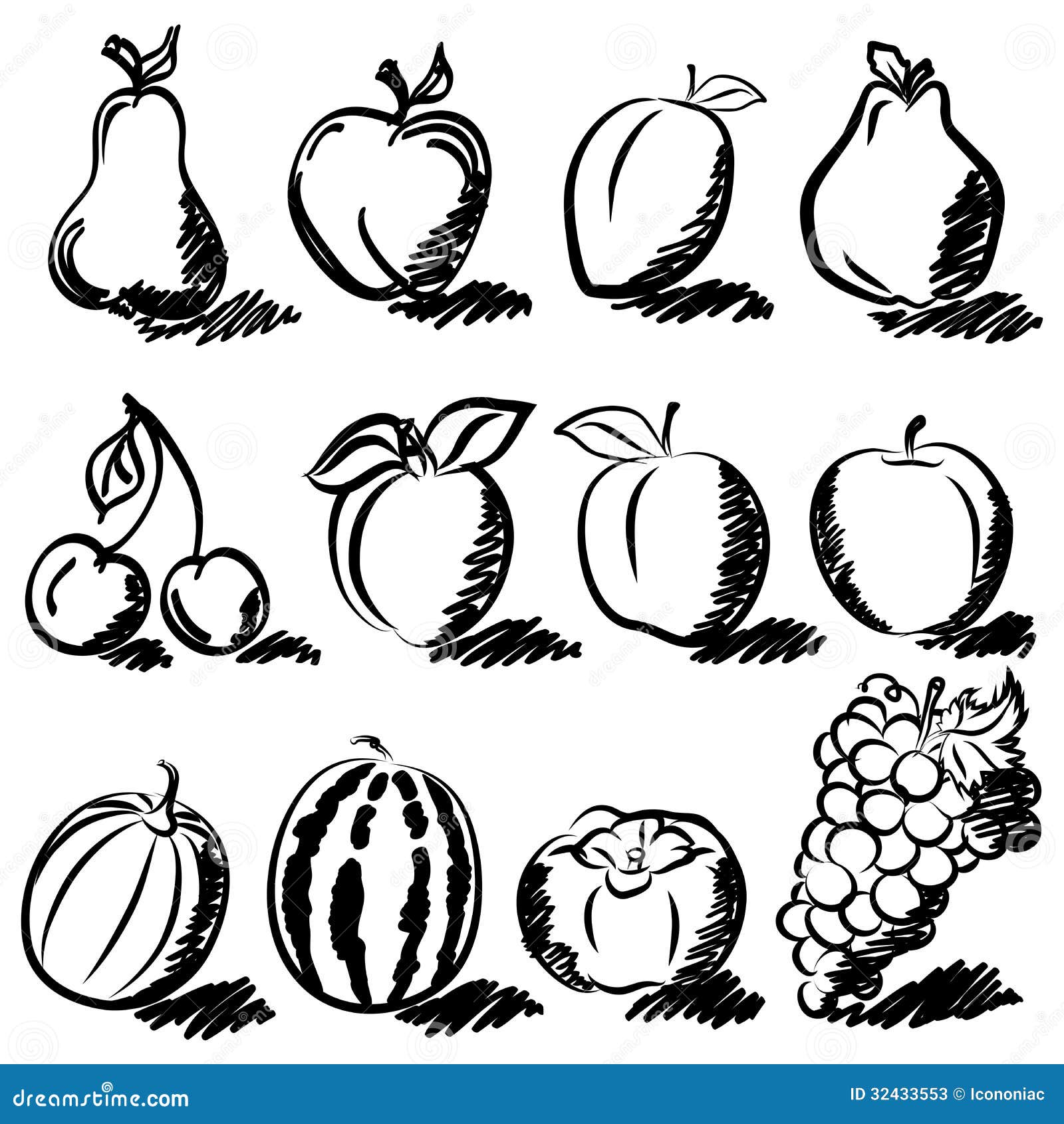 Temperate Fruits Sketch Drawing Set Stock Illustration - Illustration ...